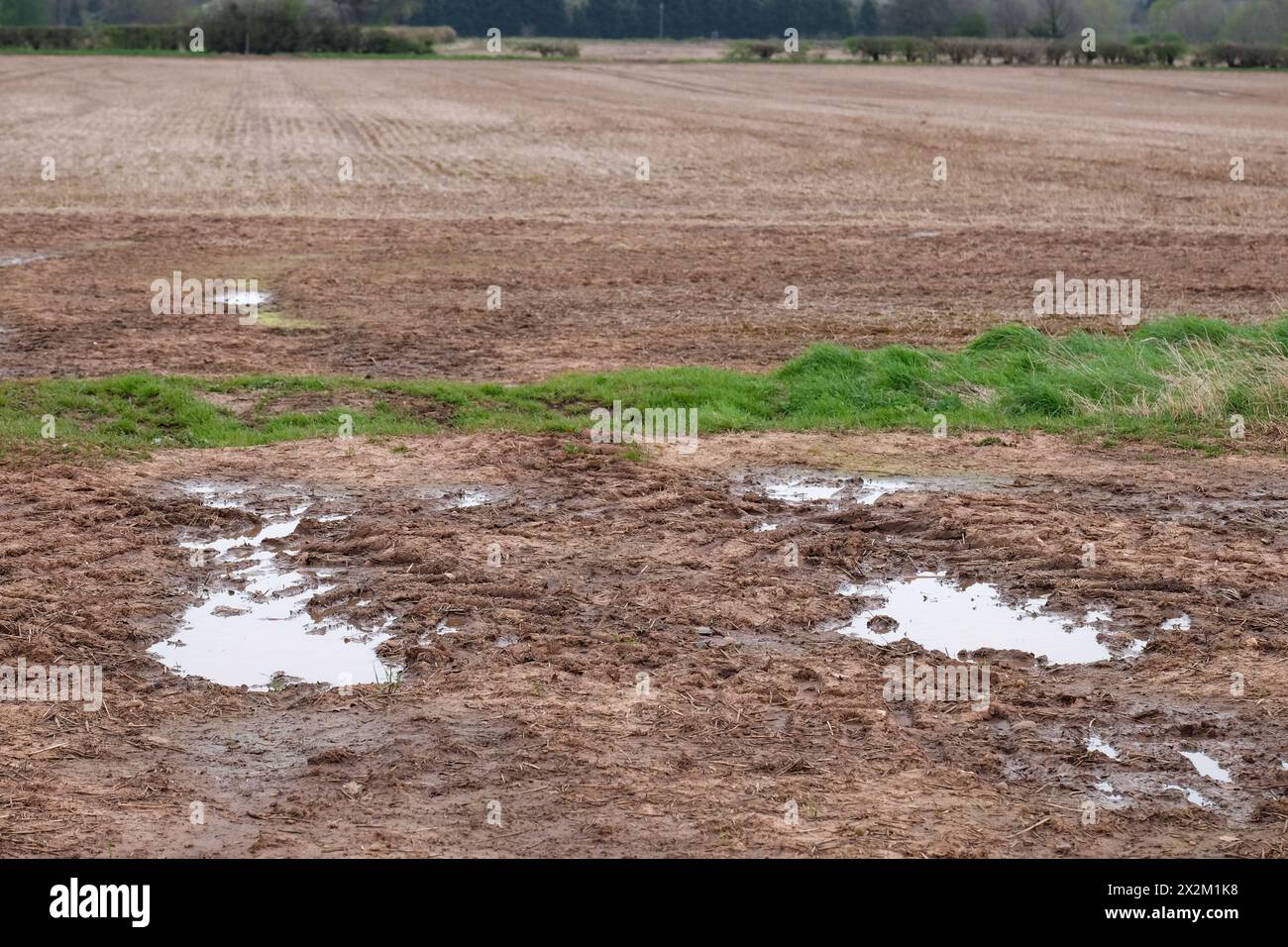 waterlogged farmers fields april 2024 Stock Photo - Alamy