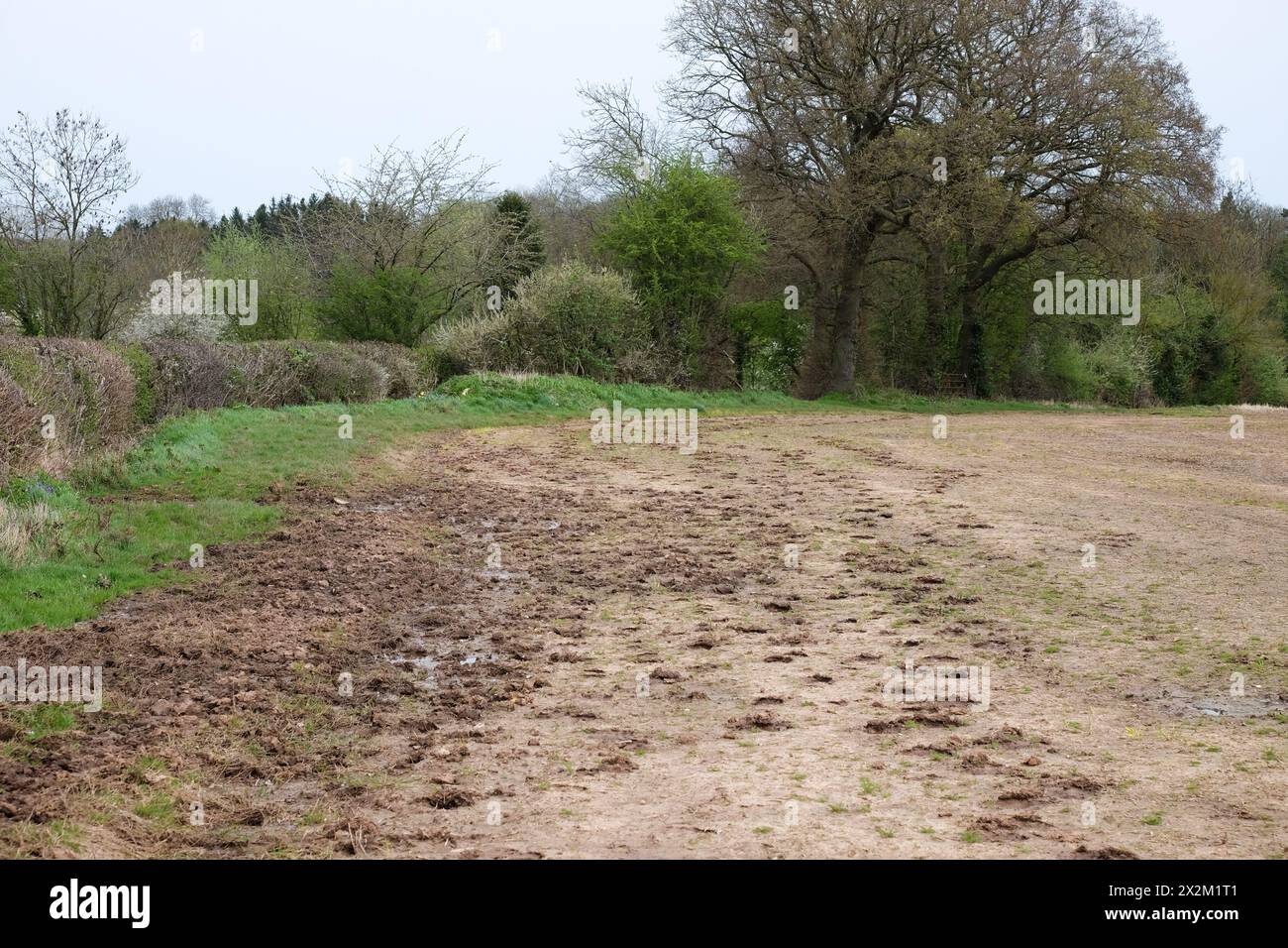 waterlogged farmers fields april 2024 Stock Photo - Alamy