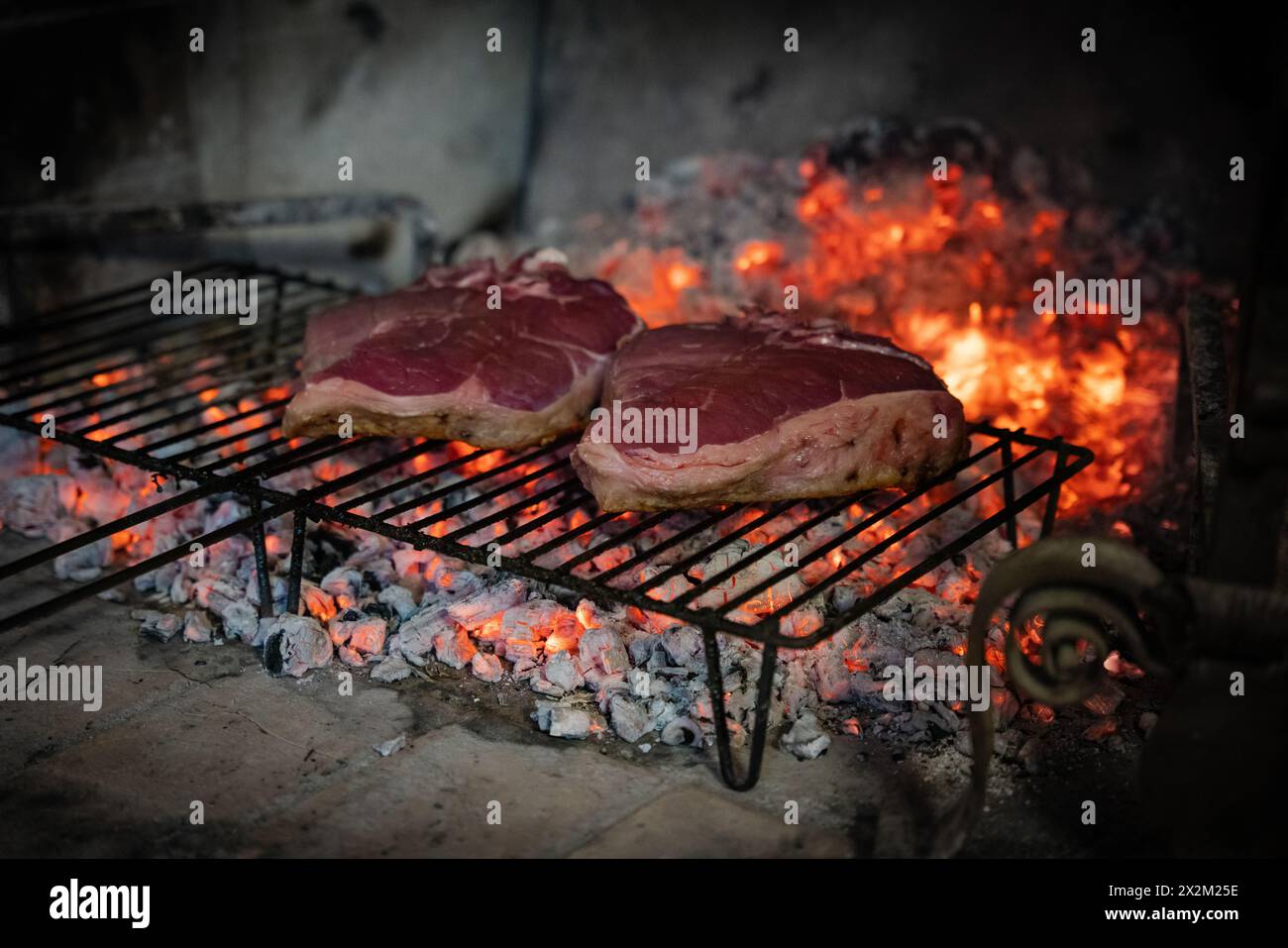 fire, embers, grilling, beef steaks, steak, Italy, chianina, beef Stock ...