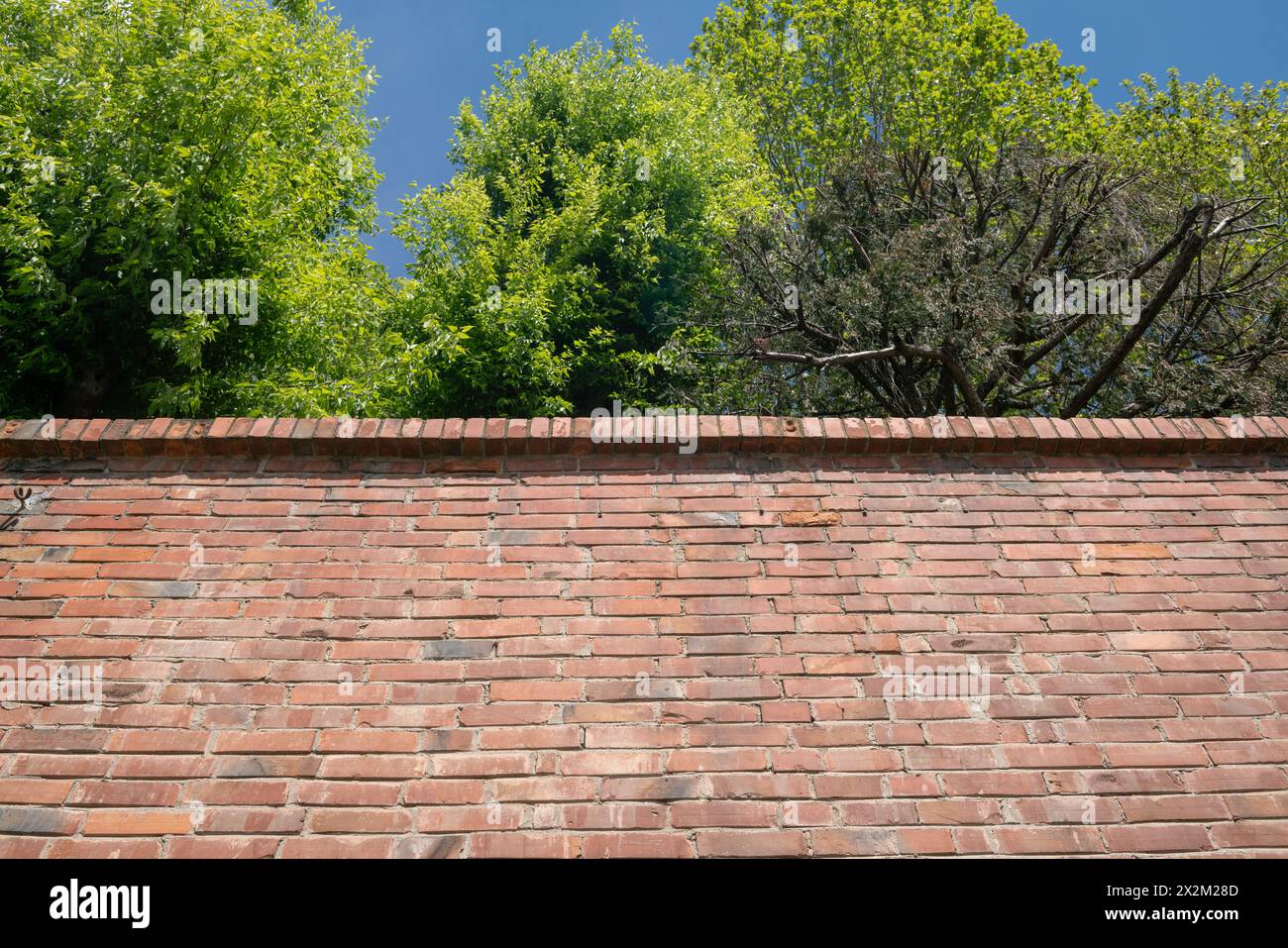 border wall with park and plants behind, secret garden. borders and ...