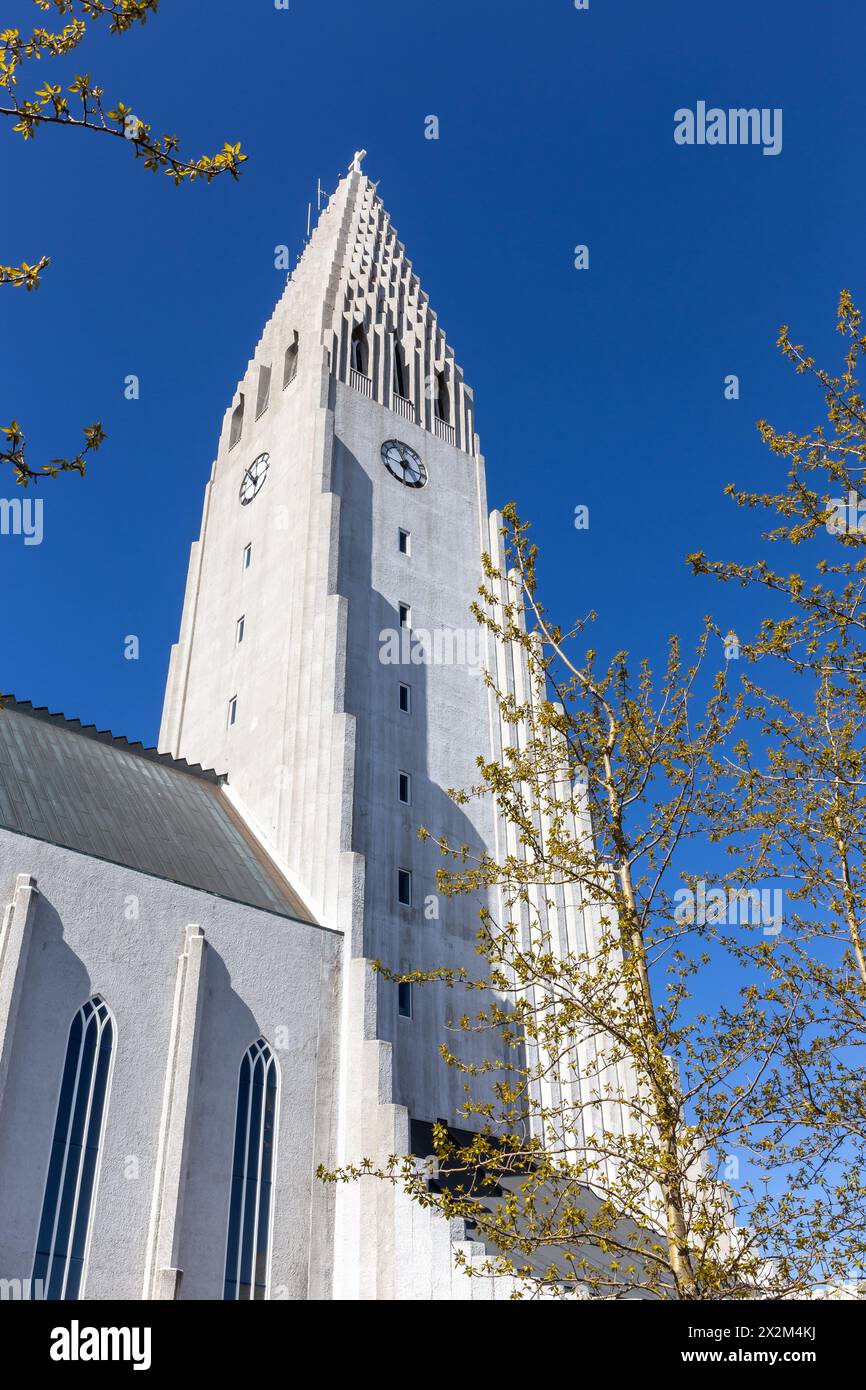 Hallgrimskirkja modernist church resembling basalt columns in Reykjavik ...