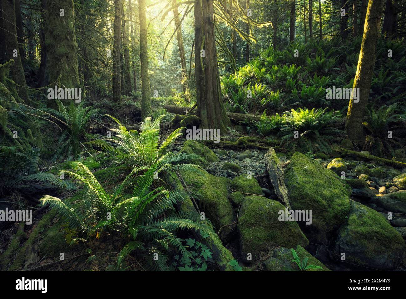 geography / travel, Canada, Pacific North West, British Columbia ... geography / travel, Canada, Pacific North West, British Columbia ...