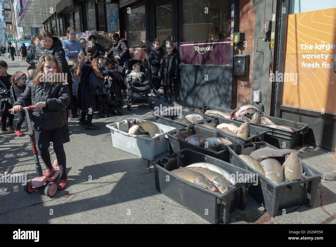 A small group watch the delivery of fish to a Kosher store in ...