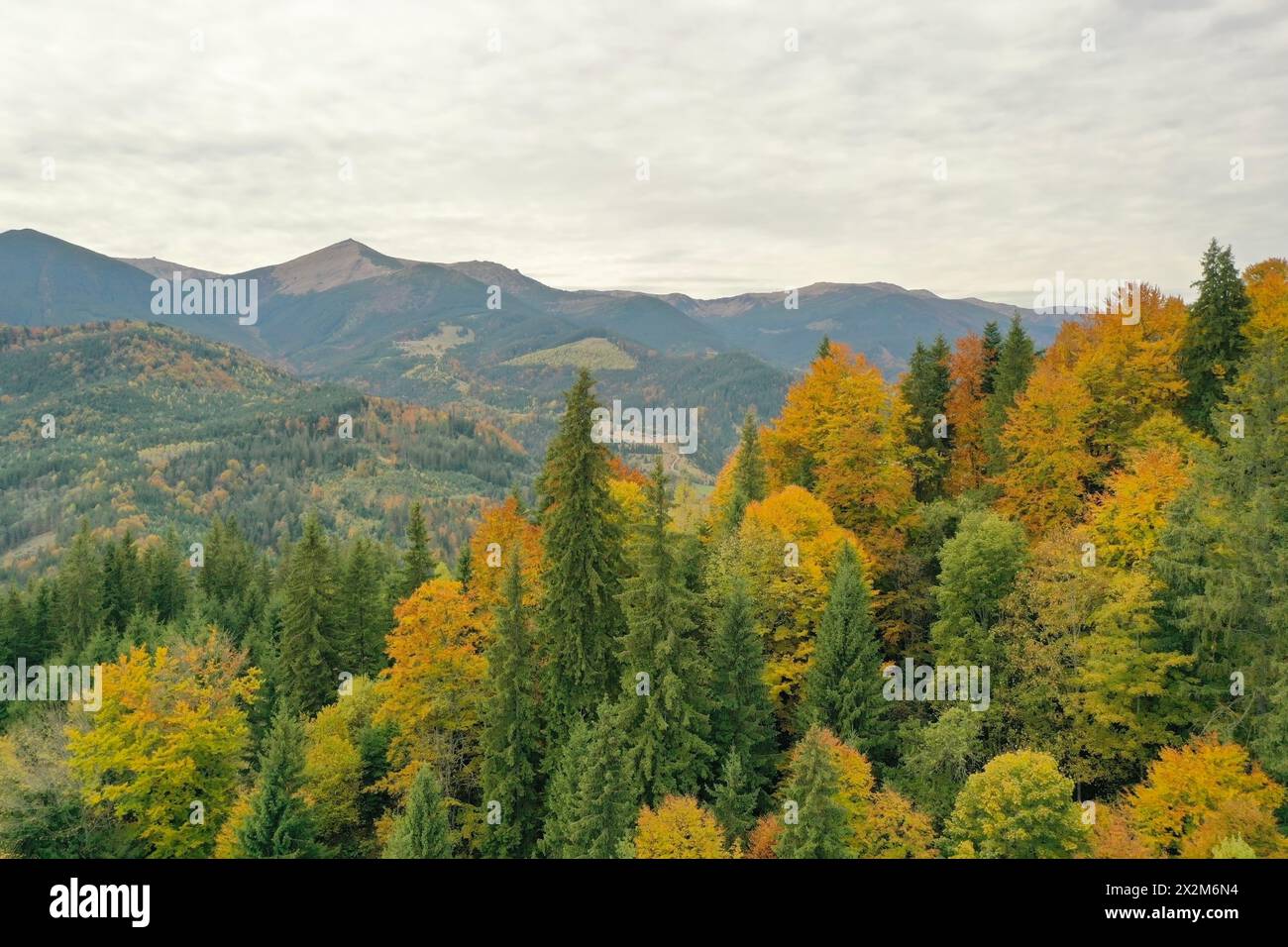 Beautiful mountain forest hi-res stock photography and images - Alamy