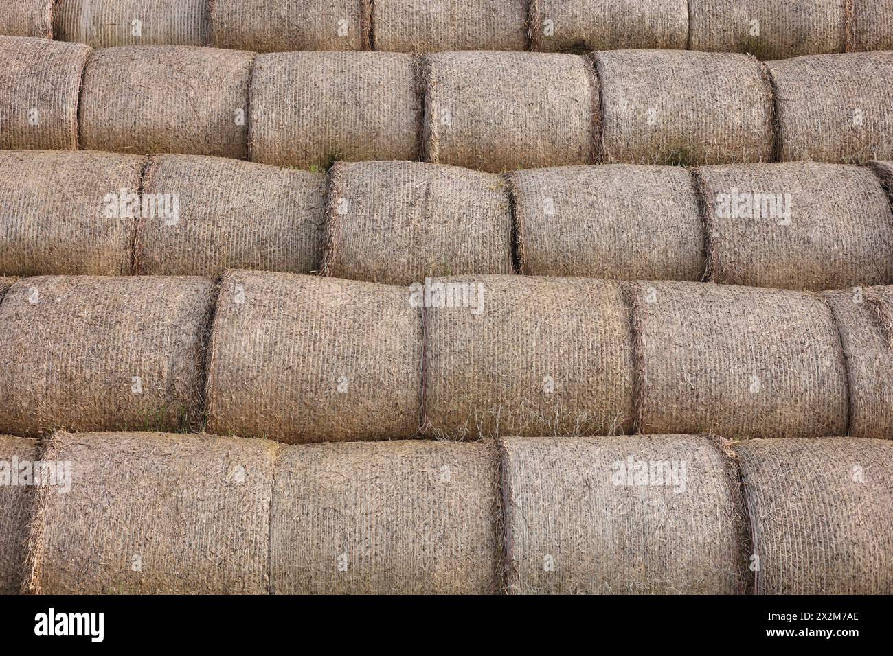 Many hay bales background hi-res stock photography and images - Alamy
