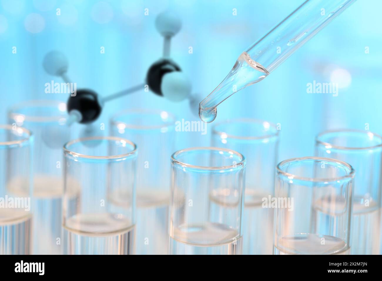 Test tubes and molecule model in laboratory, closeup Stock Photo - Alamy