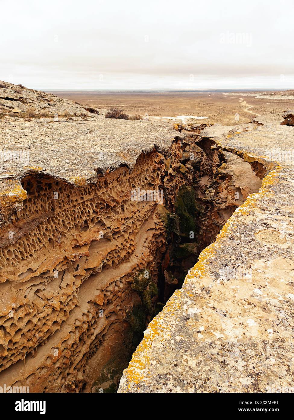Patterns in the desert hi-res stock photography and images - Alamy