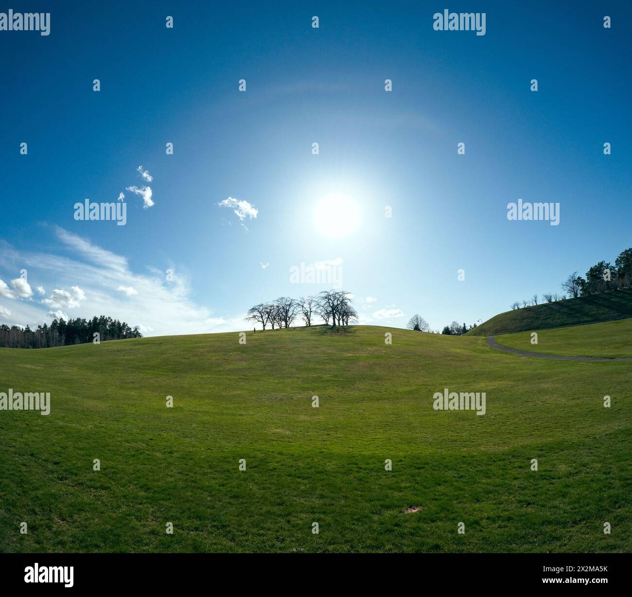 UNESCO world heritage cemetery Woodland in Sweden Stock Photo - Alamy