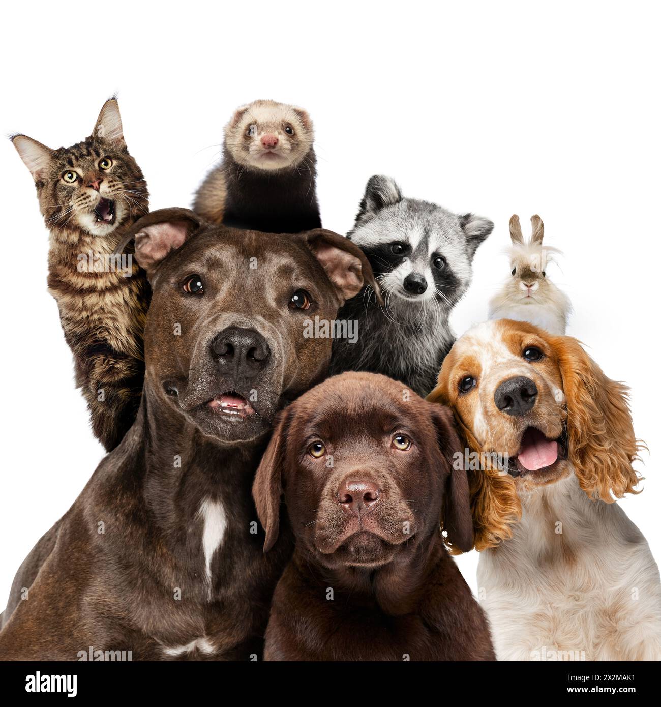 Zoo animals different together hi-res stock photography and images - Alamy