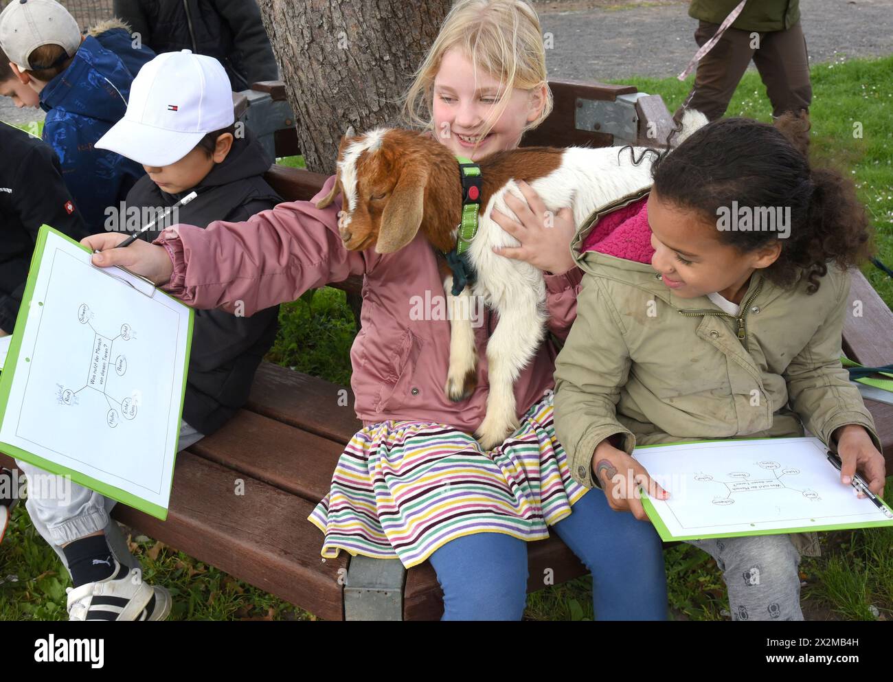 Caspar fridolin hi-res stock photography and images - Alamy