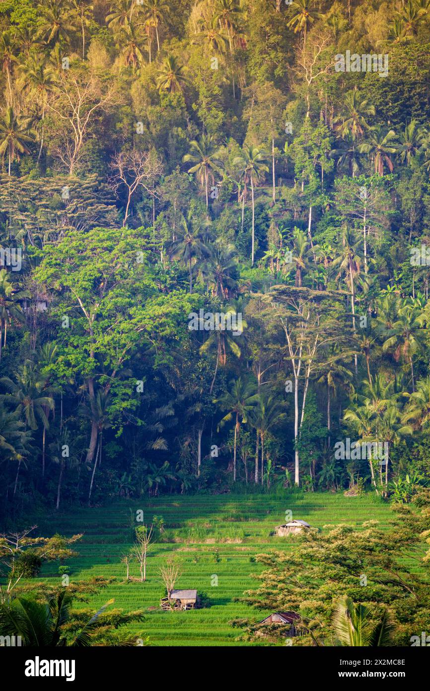 Rural bali hi-res stock photography and images - Alamy