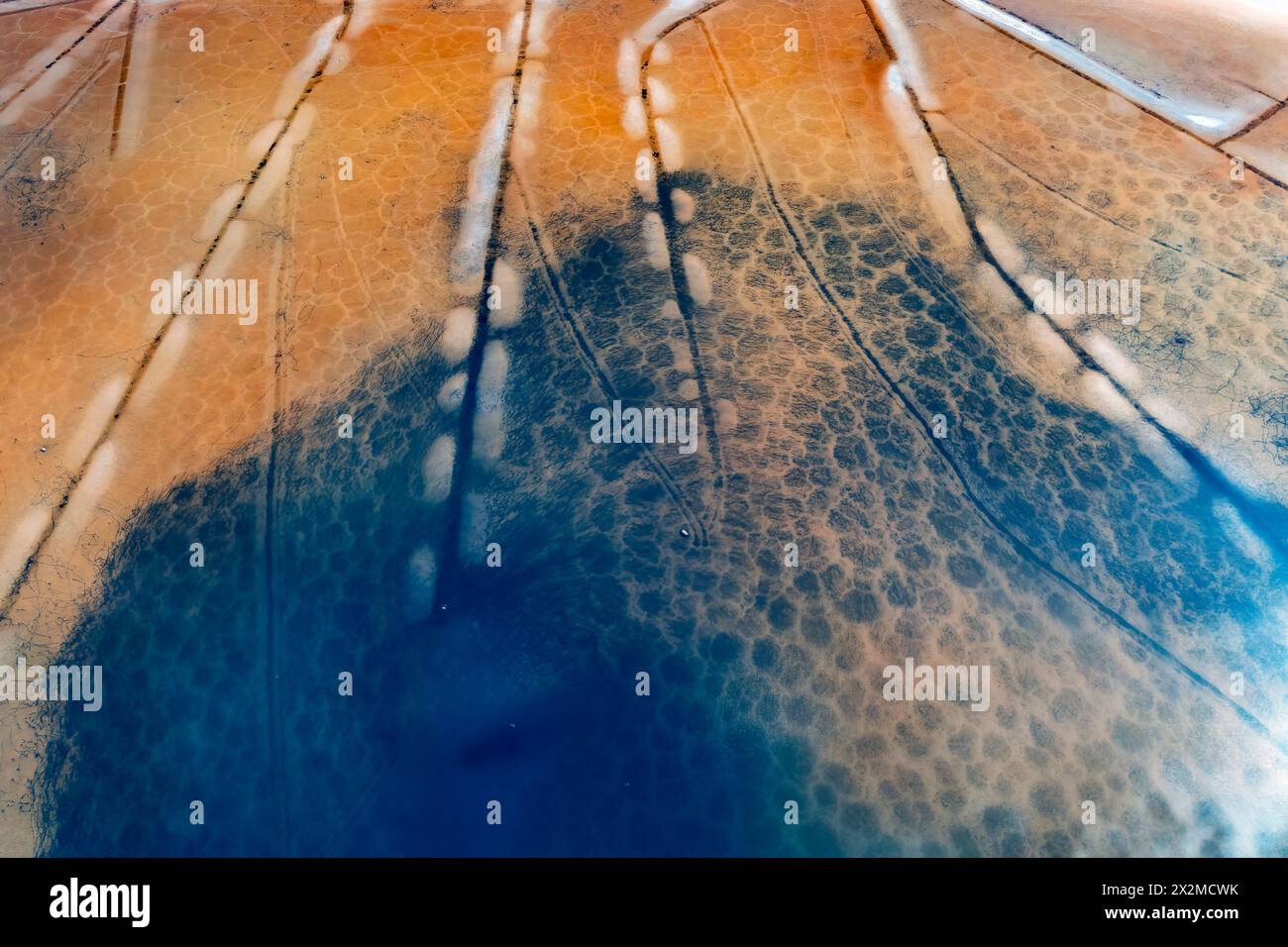 An aerial photograph showcases the textured Salt Lagoons of Toledo ...