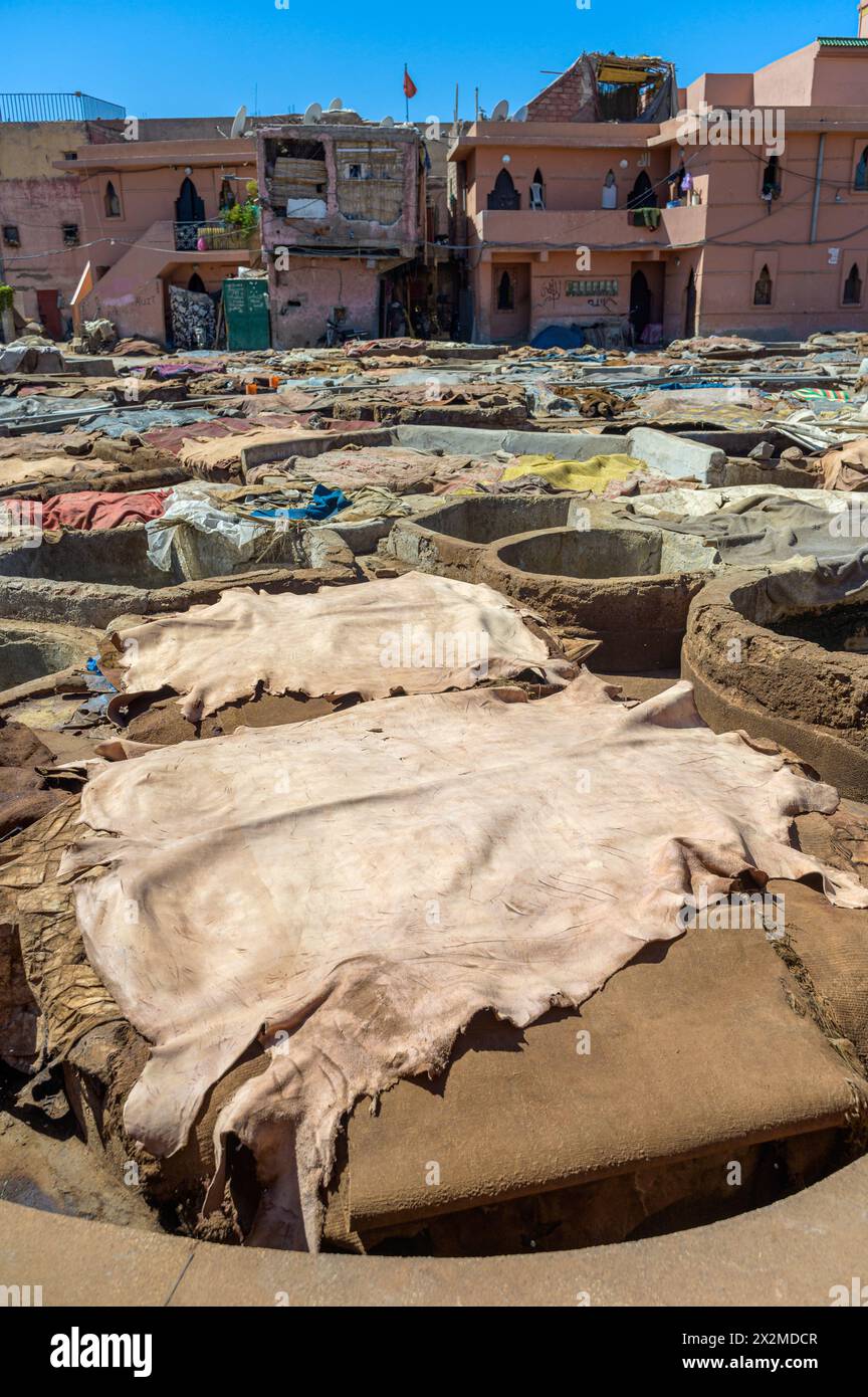 Vivid scene displaying the ancient craft of leather tanning with dye ...