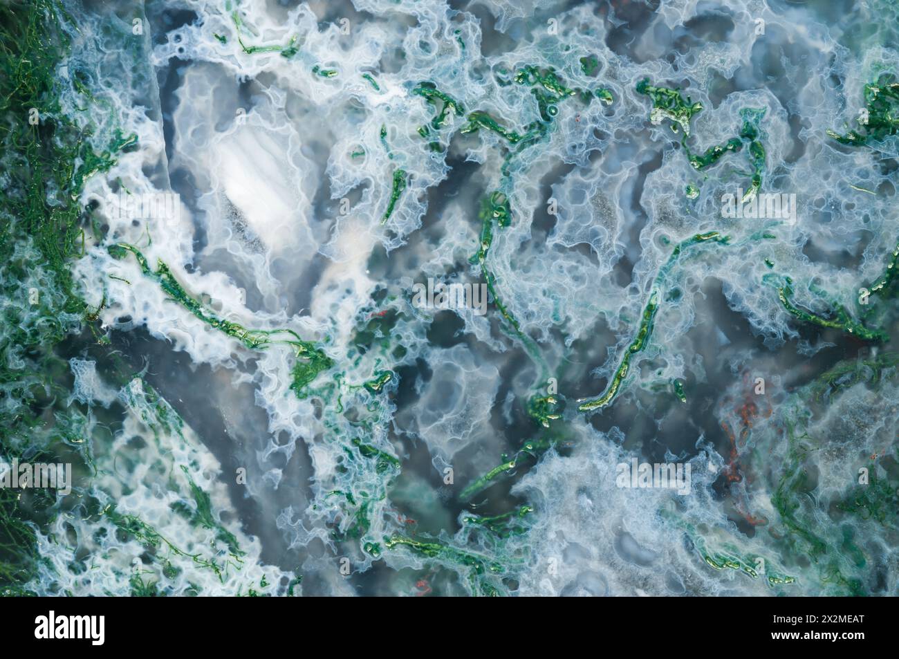 "Macro image showcasing the complex patterns and textures within a ...