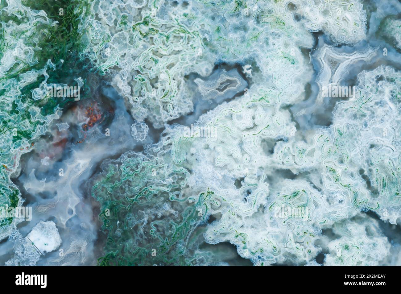 Close-up photo of green and white Moss Agate showcasing its unique ...