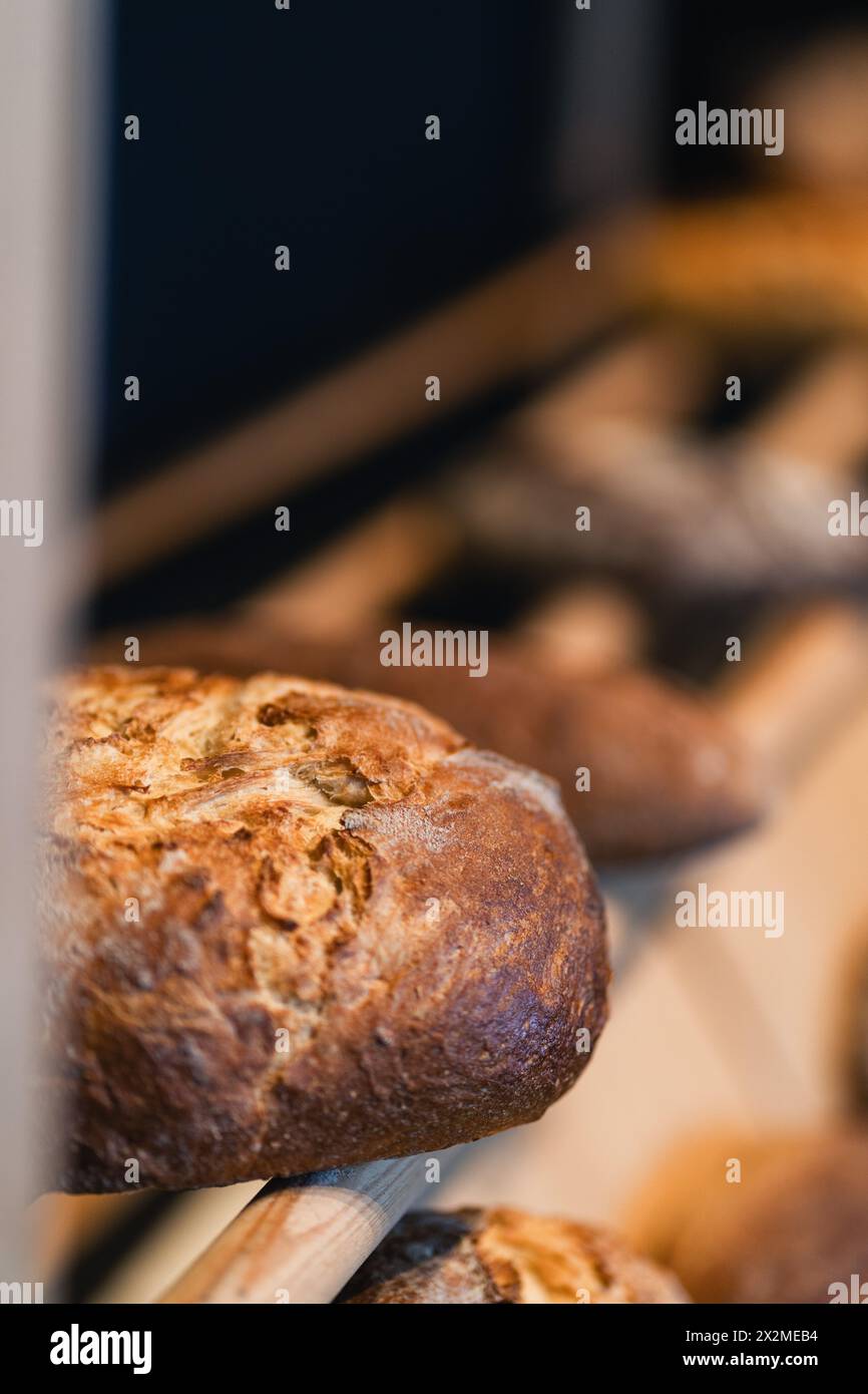 Freshly baked artisanal sourdough bread with a golden crust, displayed ...