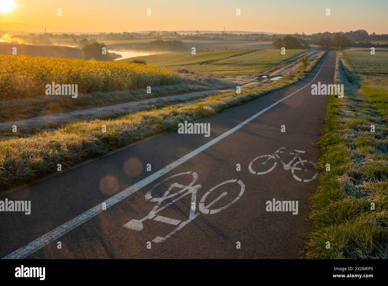 Cycle road running through hi-res stock photography and images - Alamy