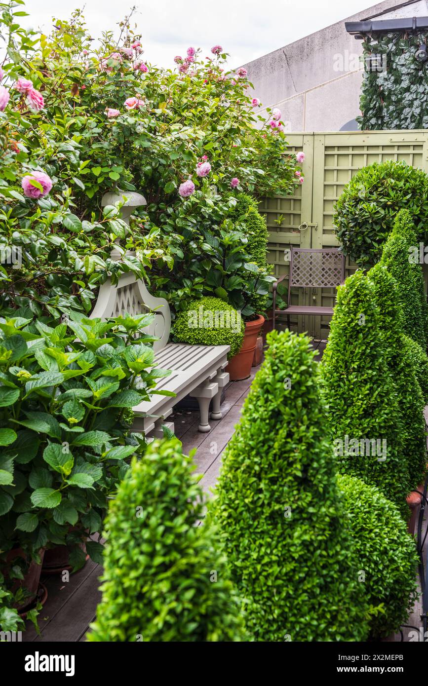 Bench seat and topiary on terrace. Chelsea embankment, London, UK Stock ...