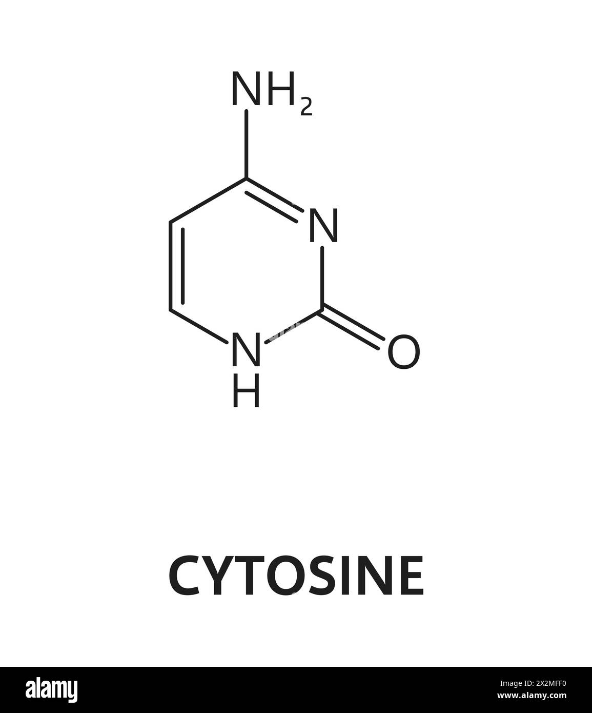 Cytosine Nucleic Acid Nitrogenous Base Nitrogen And Hydrogen Formula Dna Nitrogenous Base