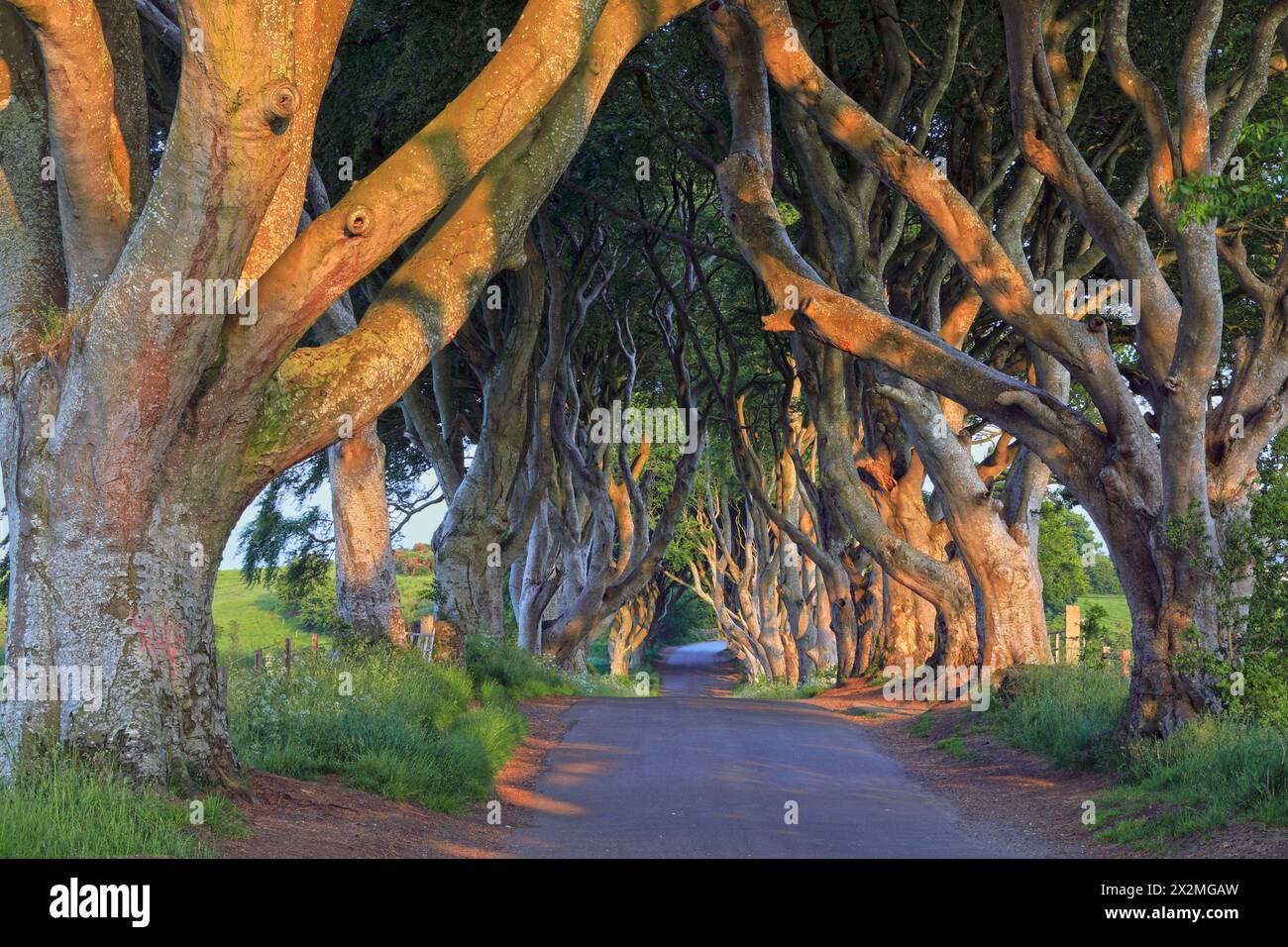 Ballymoney, county antrim hi-res stock photography and images - Alamy