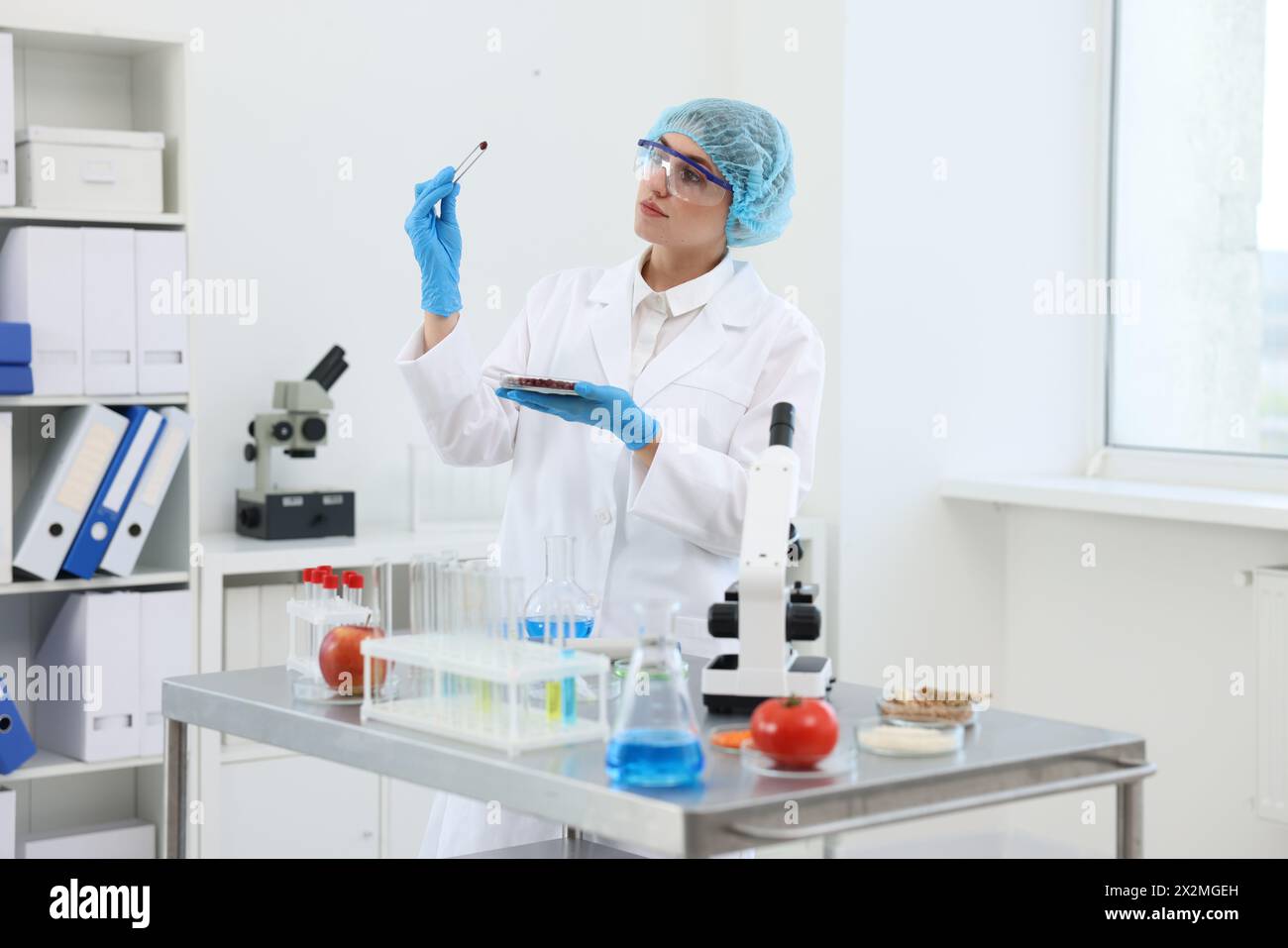 Quality control. Food inspector checking safety of products in ...