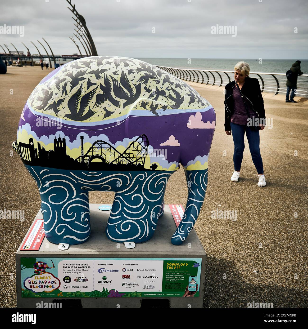 Elmer the patchwork elephants Big Blackpool Parade in aid of a local ...