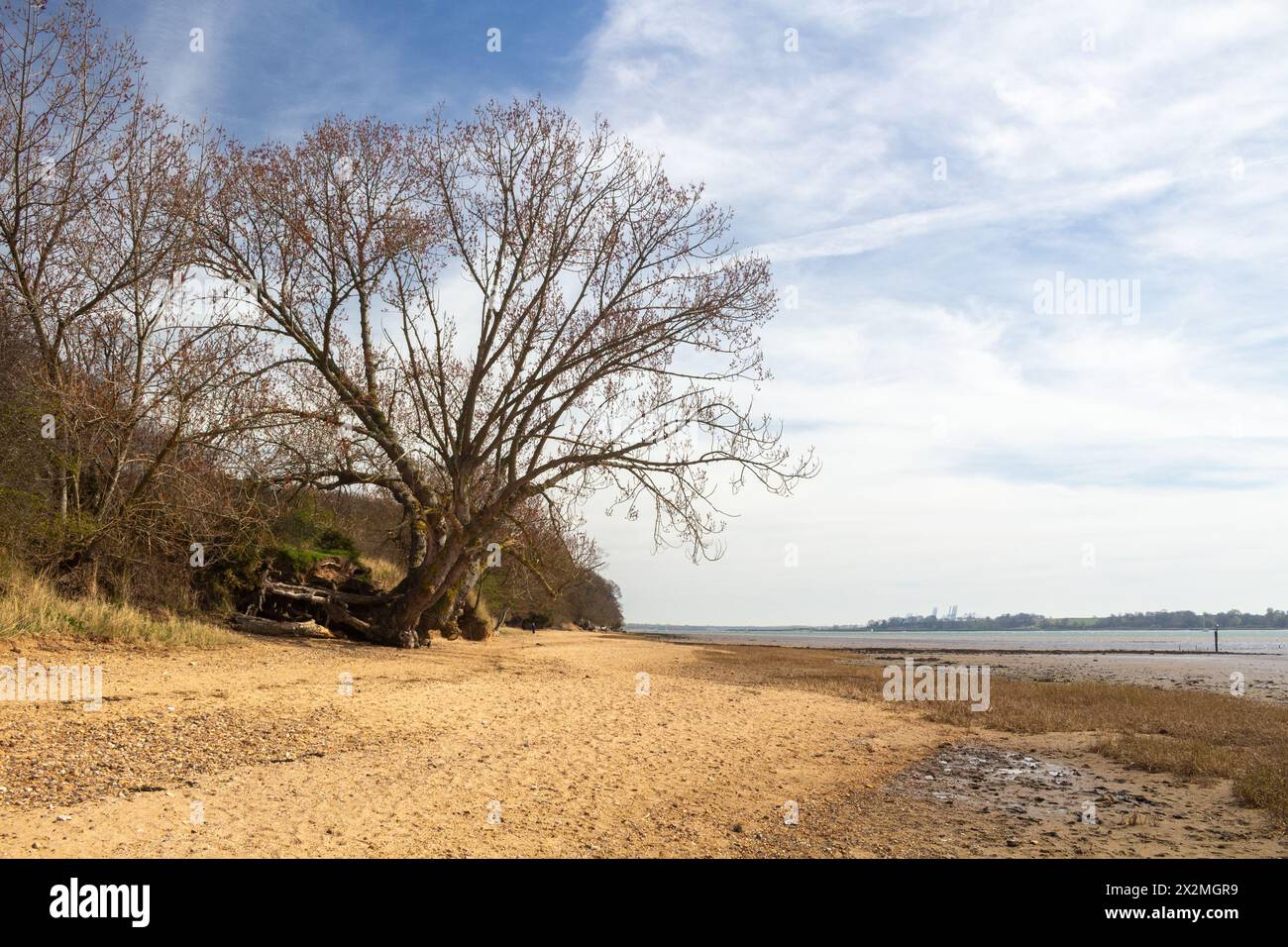 Nacton shores hi-res stock photography and images - Alamy