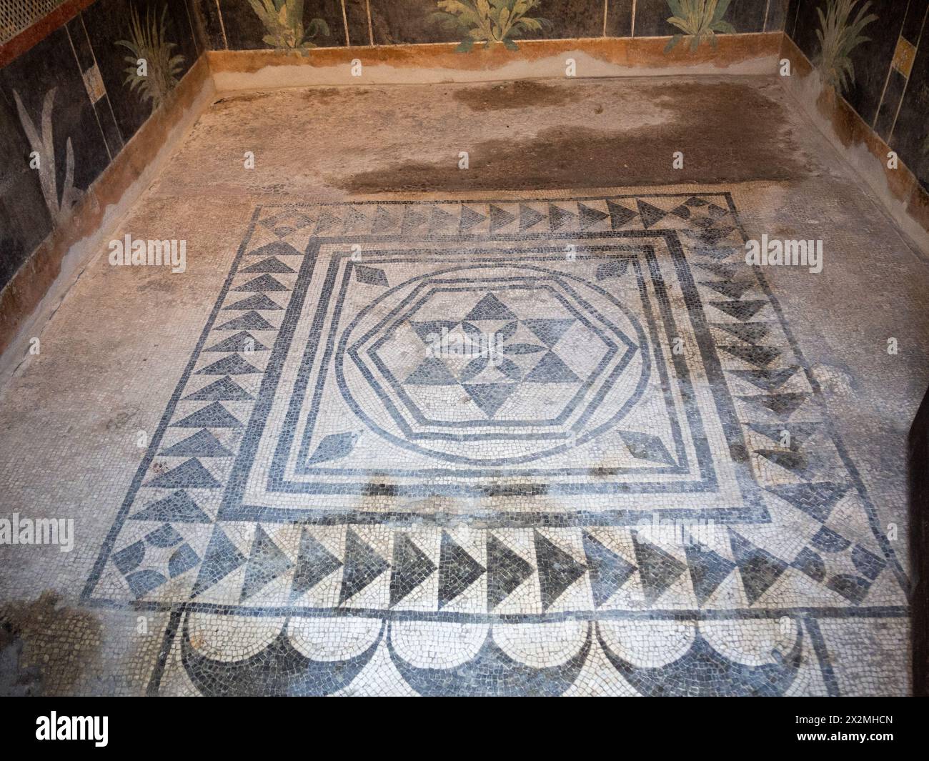 Mosaic pompei floor hi-res stock photography and images - Alamy