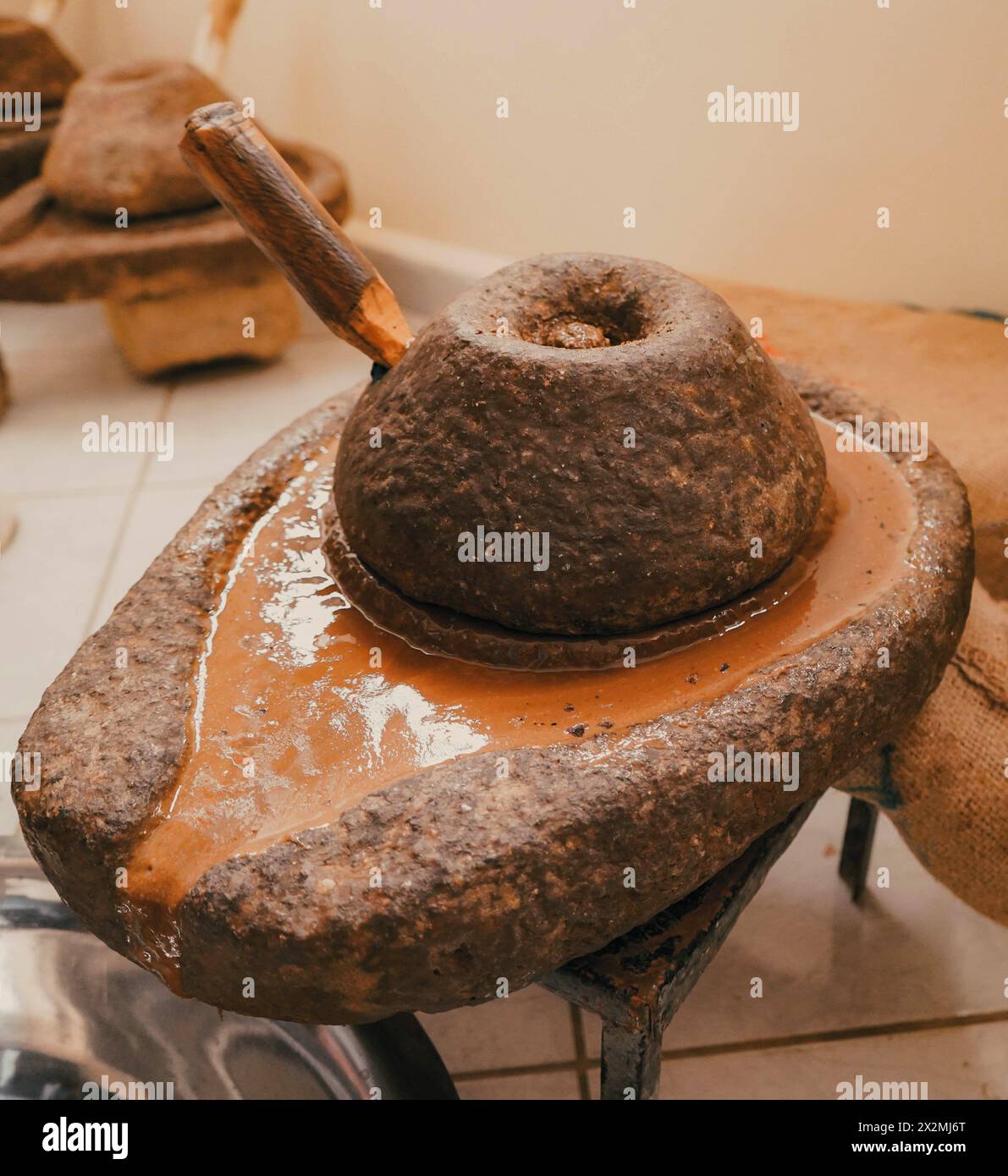 Producing oil from seeds of the Moroccan argan tree Stock Photo - Alamy