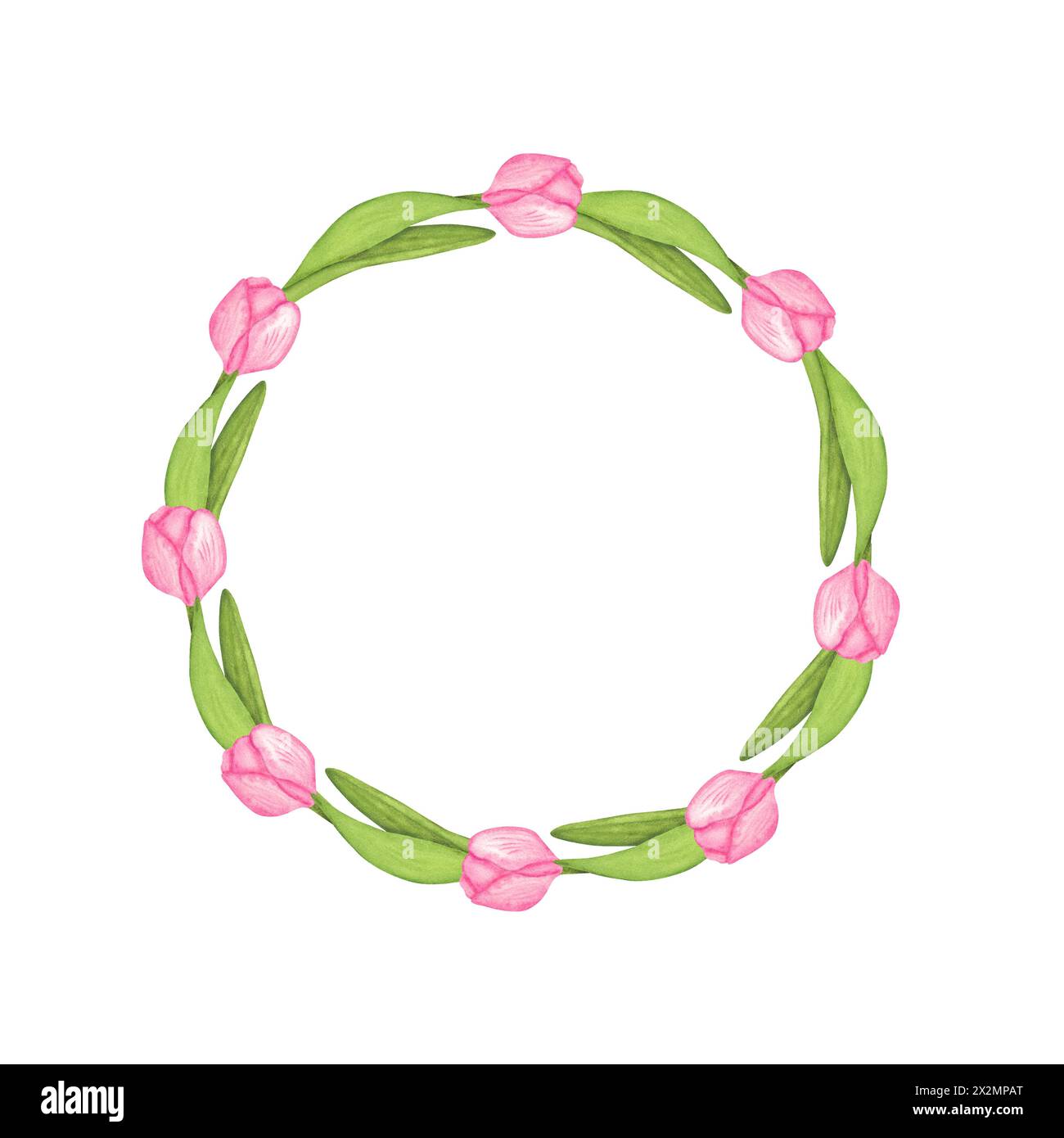 Circle frame of watecolor tulips. Hand painted pink tulips. Tulip ...