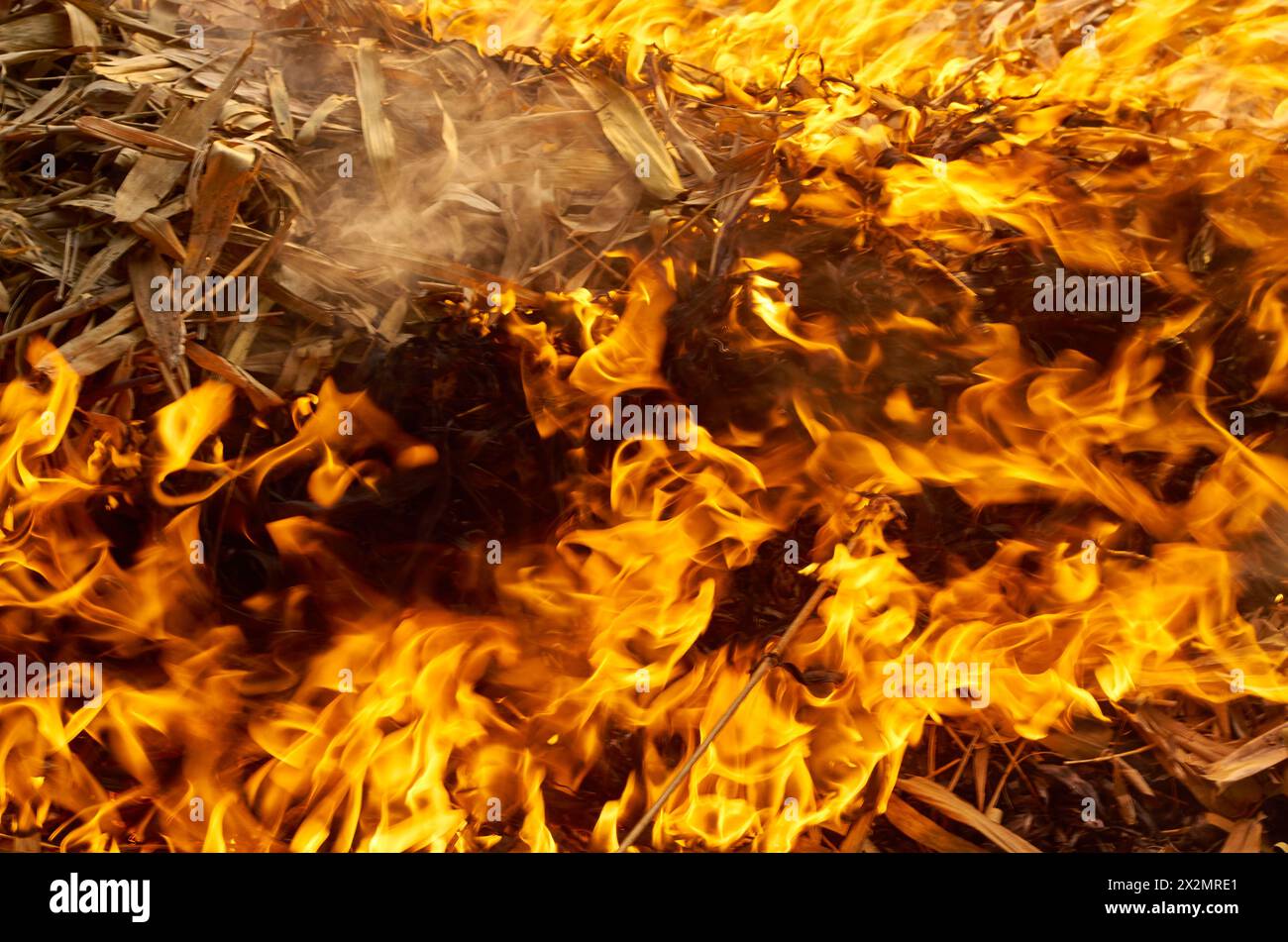 Flames of fire with smoke on a black background Stock Photo - Alamy