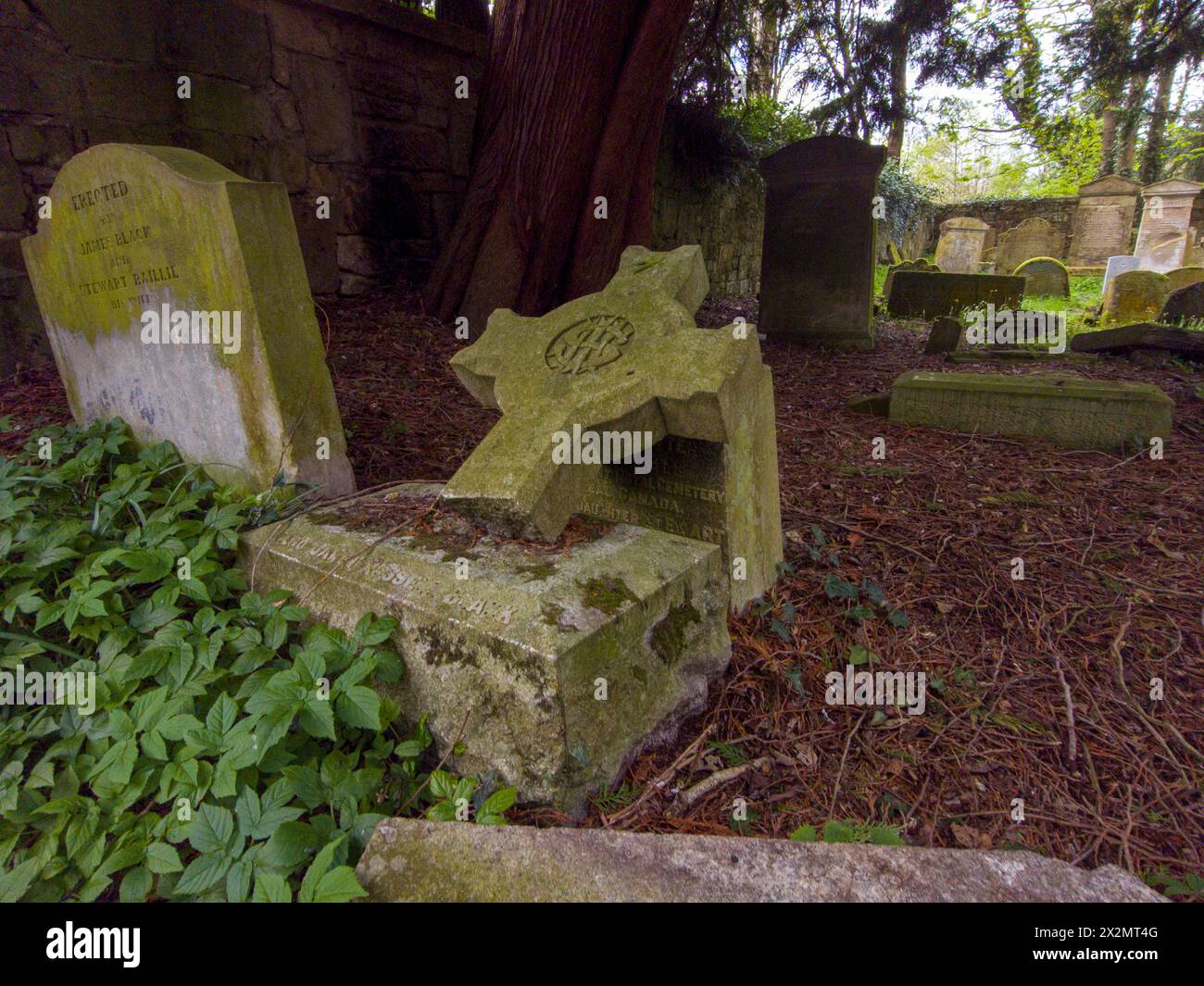 Old Graveyard Barons Haugh Nature Reserve Motherwell with a Mausoleum ...