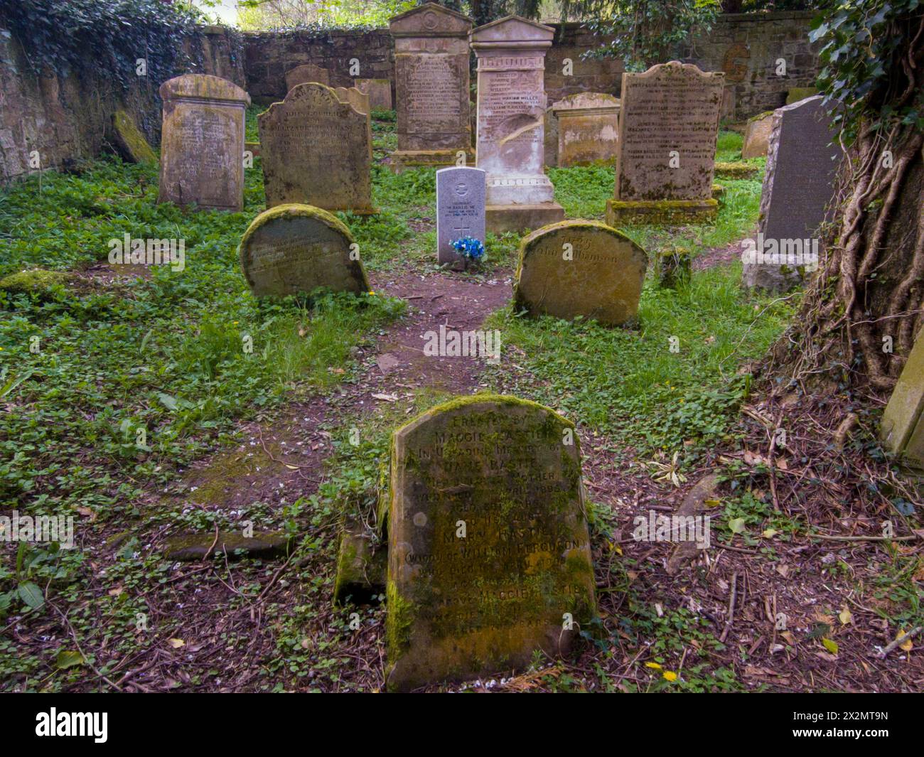 Old Graveyard Barons Haugh Nature Reserve Motherwell with a Mausoleum ...