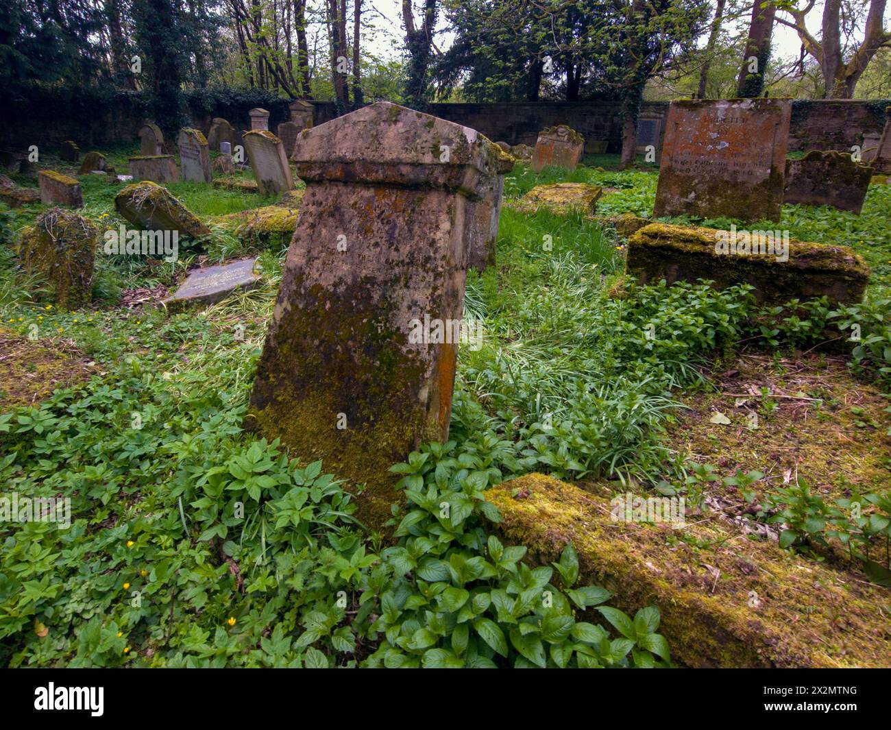 Old Graveyard Barons Haugh Nature Reserve Motherwell with a Mausoleum that houses the graves of ...