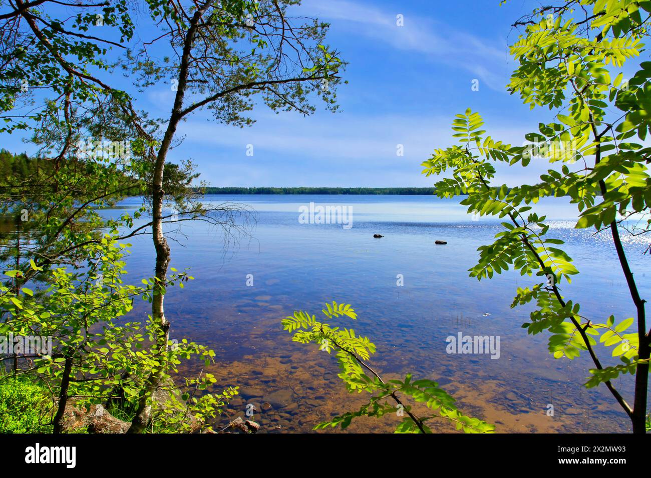 Nummi pusula hi-res stock photography and images - Alamy