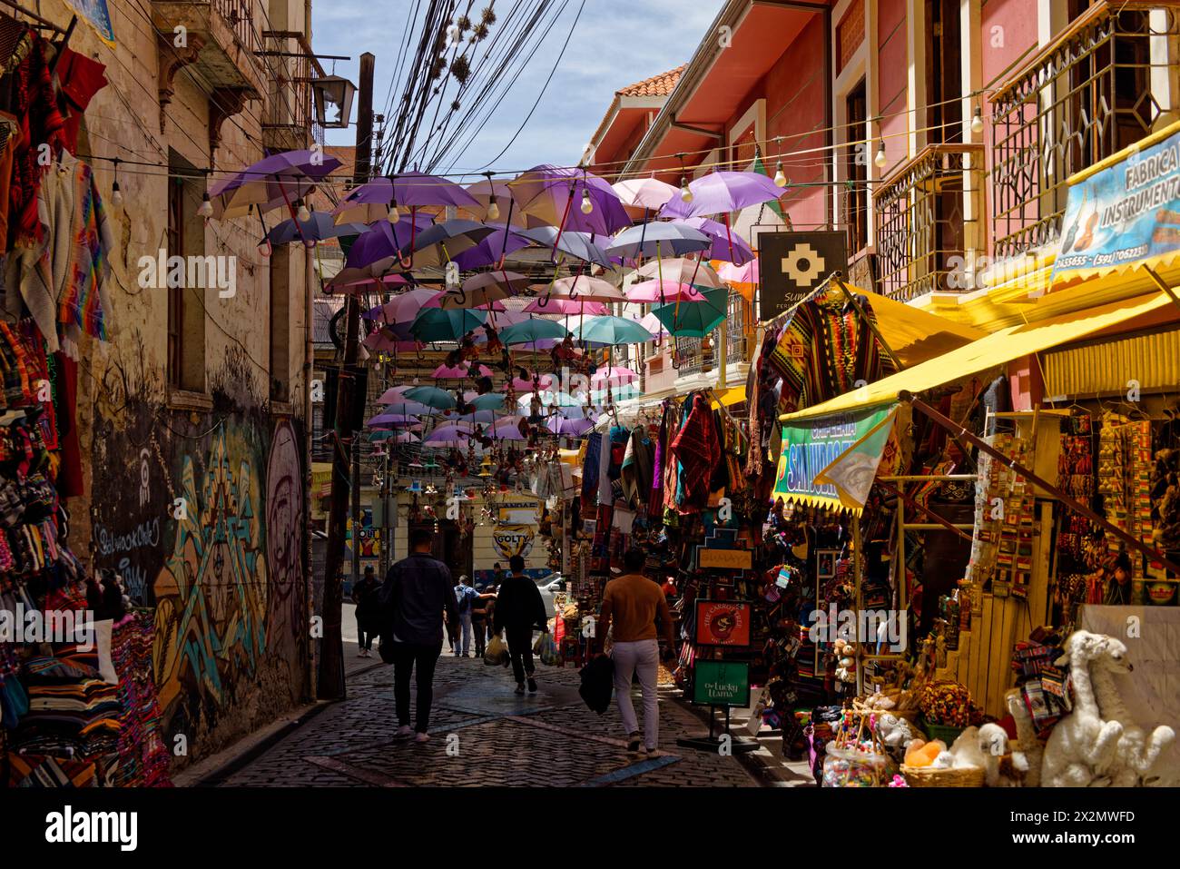 La Paz, Bolivia. 9th Jan, 2024. The witch market (Mercado de las Brujas ...