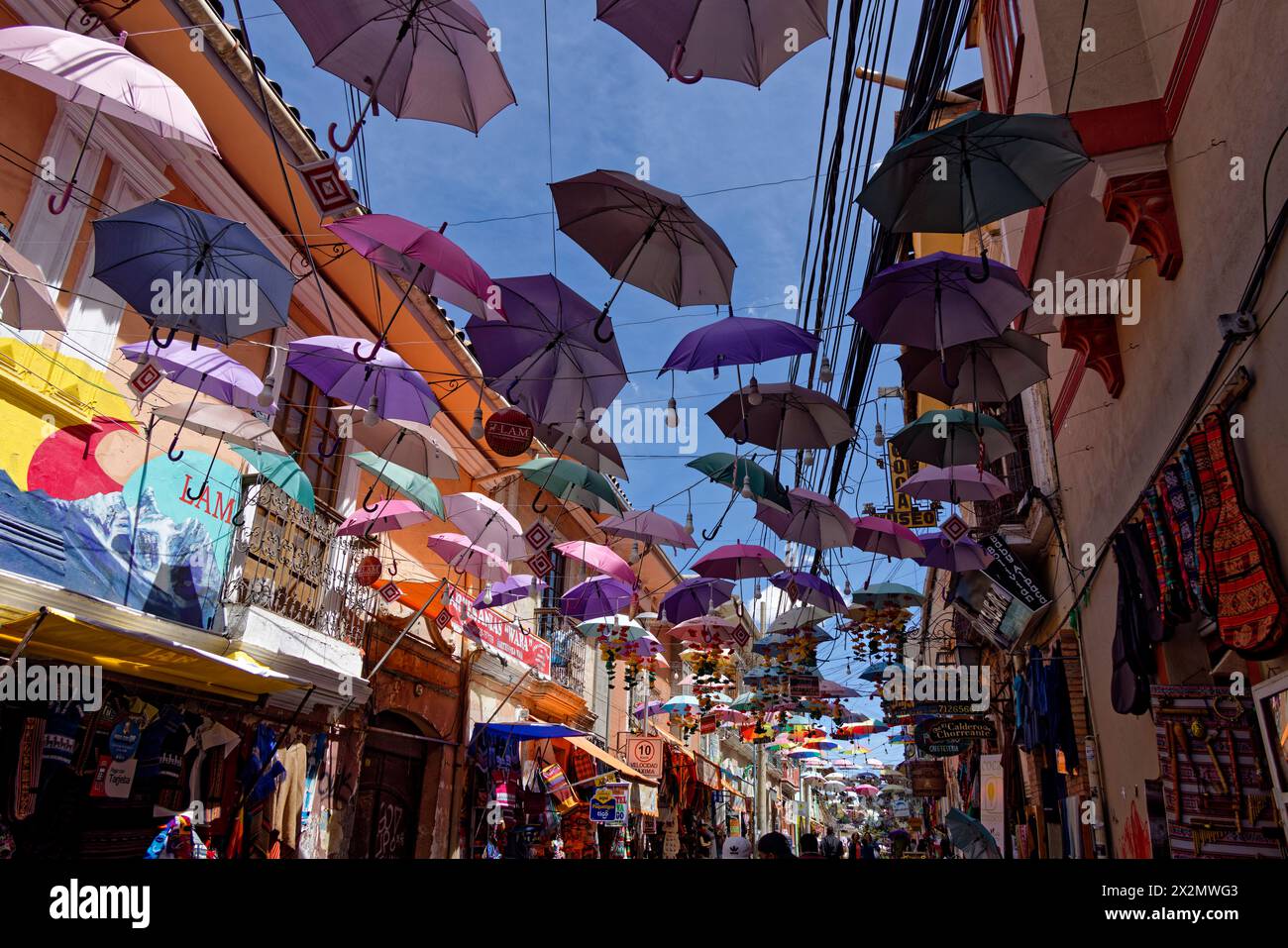 La Paz, Bolivia. 9th Jan, 2024. The witch market (Mercado de las Brujas ...