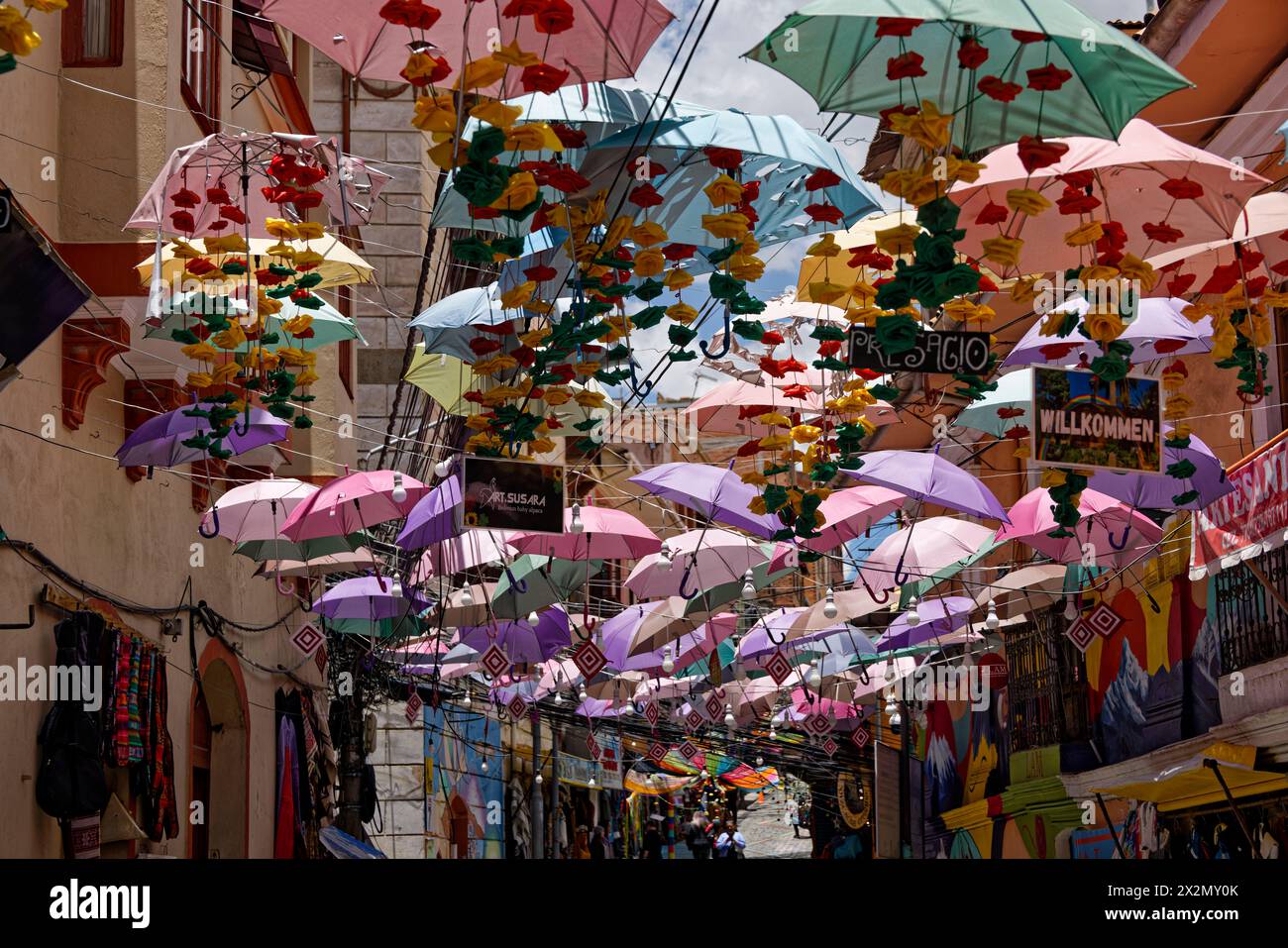 La Paz, Bolivia. 10th Jan, 2024. The witch market (Mercado de las ...