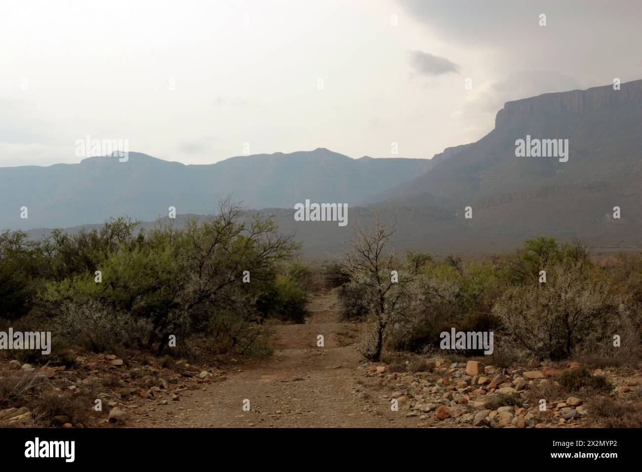 Karoo scrub hi-res stock photography and images - Alamy