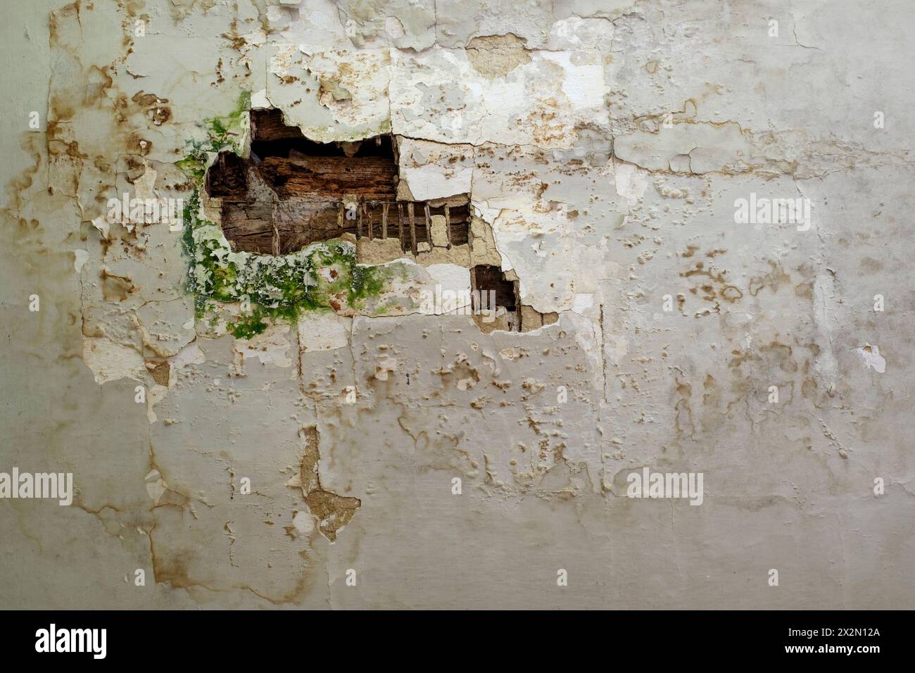 rotten wood broken flaking plaster with mould on ceiling caused by ...