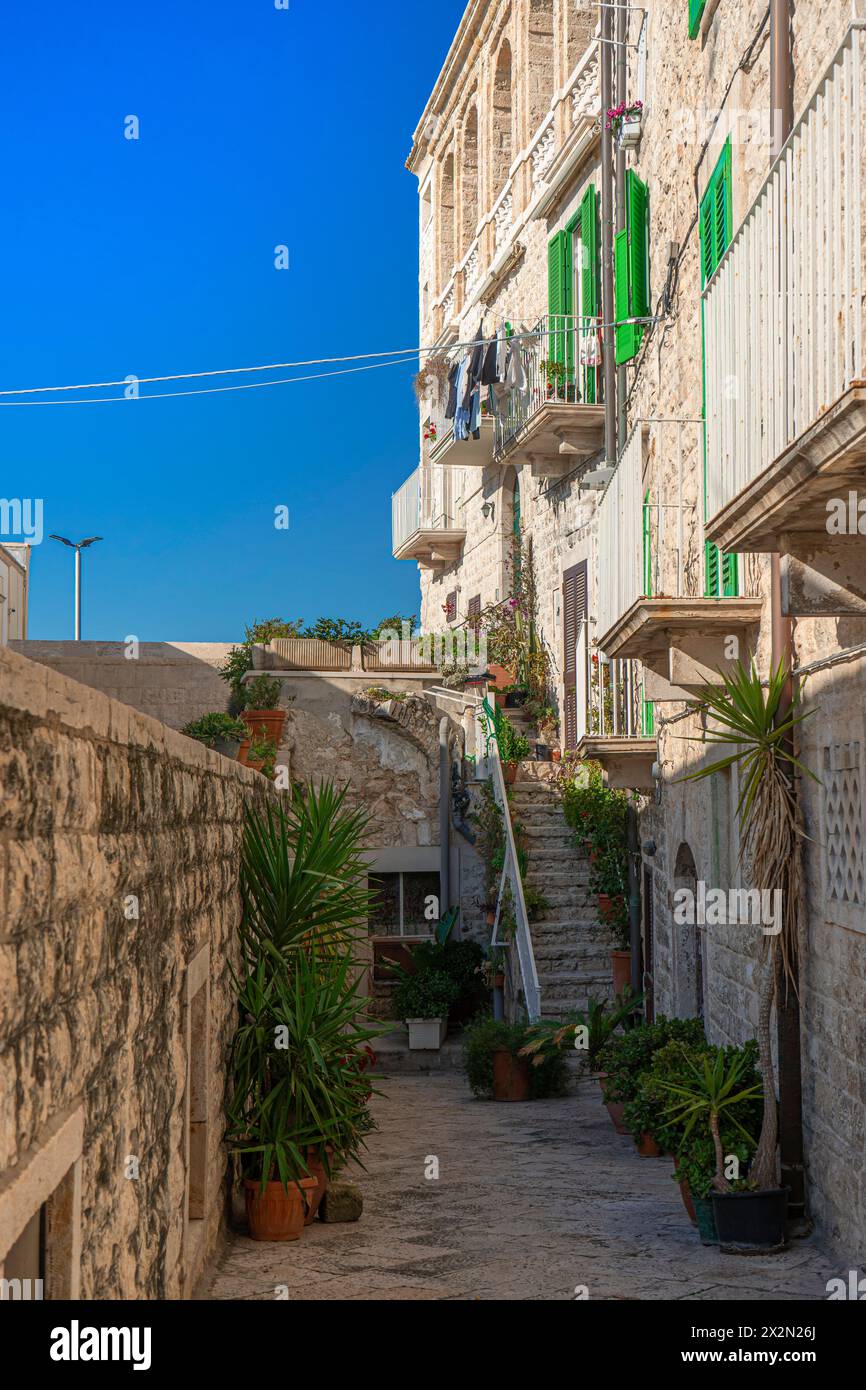 Molfetta old town. Small cobblestone street and stone residential ...