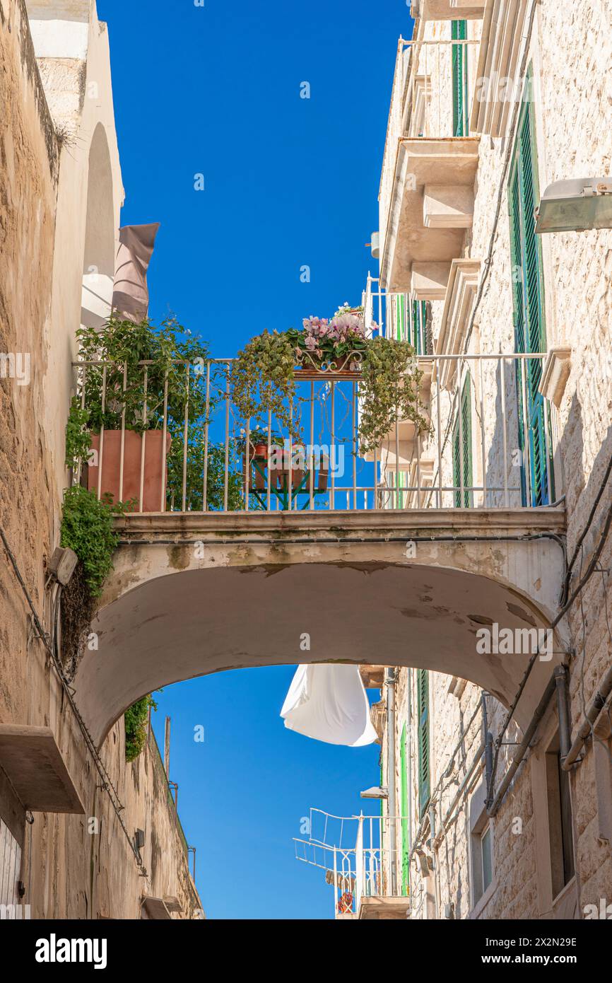 Molfetta old town. Small cobblestone street and stone residential ...