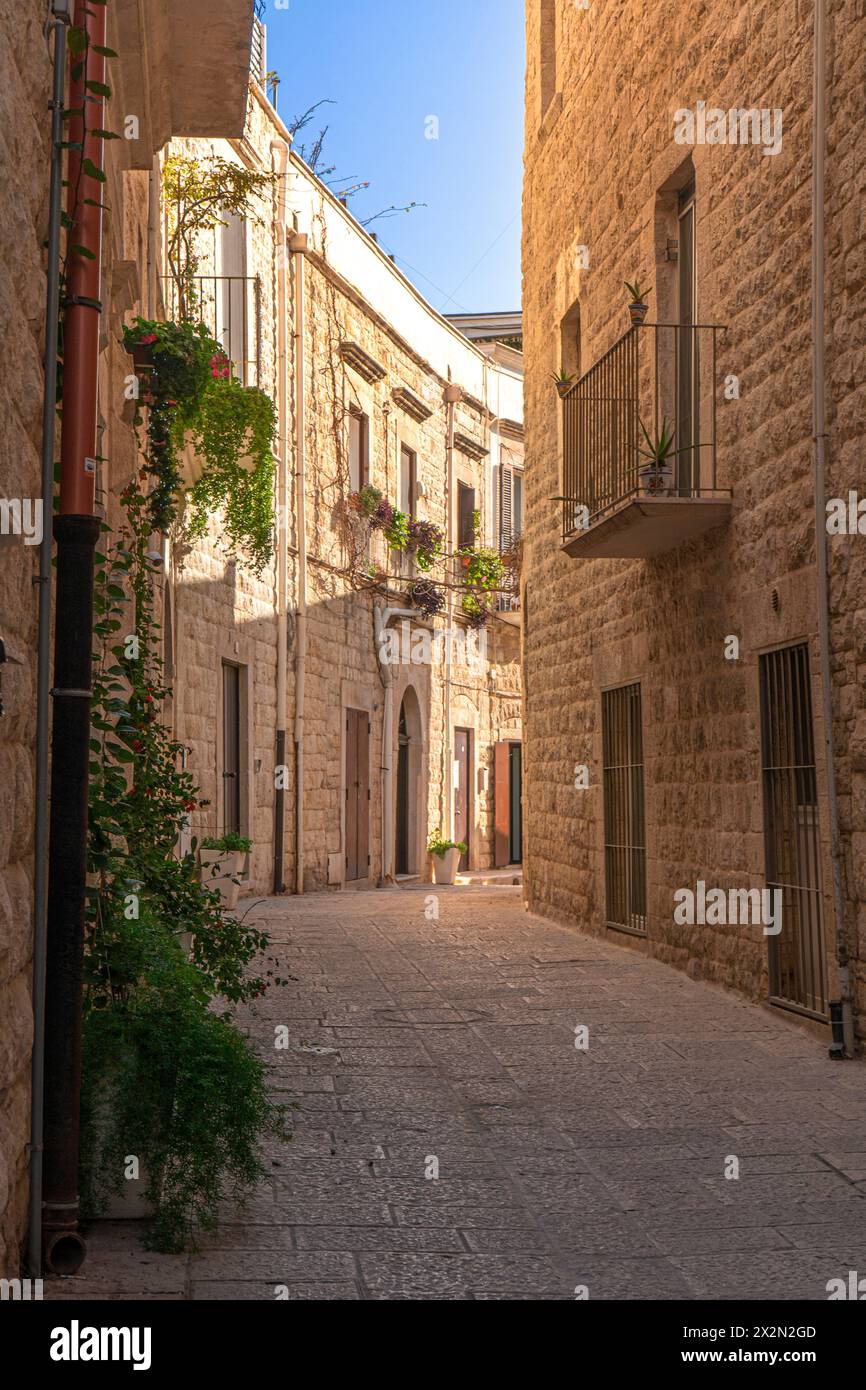 Molfetta old town. Small cobblestone street and stone residential ...
