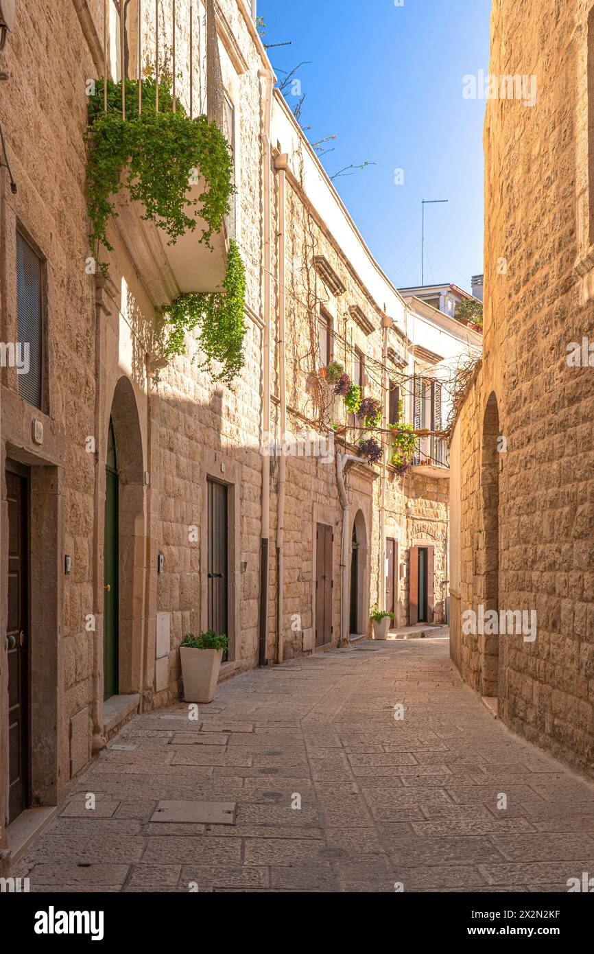 Molfetta old town. Small cobblestone street and stone residential ...