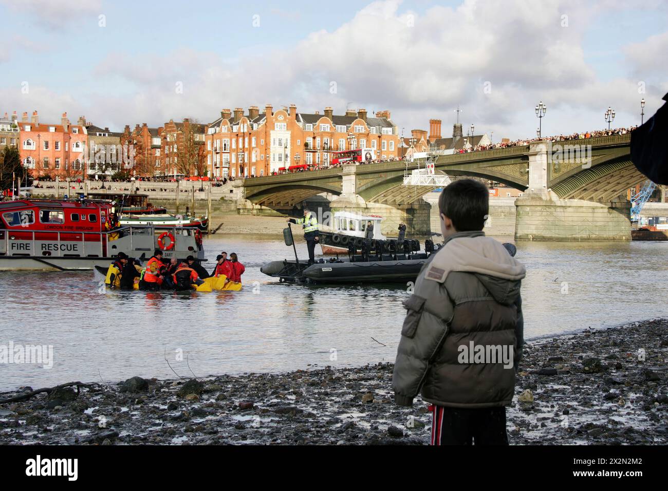 Pic shows: Whale in the River Thames in 2006 Rescuers battle to save a ...
