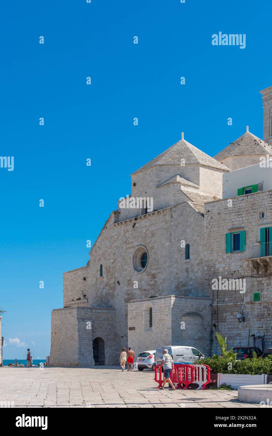 View of the port of Molfetta dominated by a majestic building of the ...