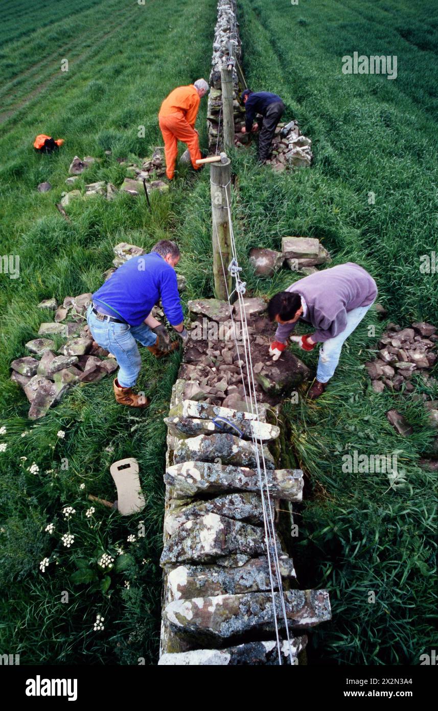Dry Stone Walling Stock Photo - Alamy