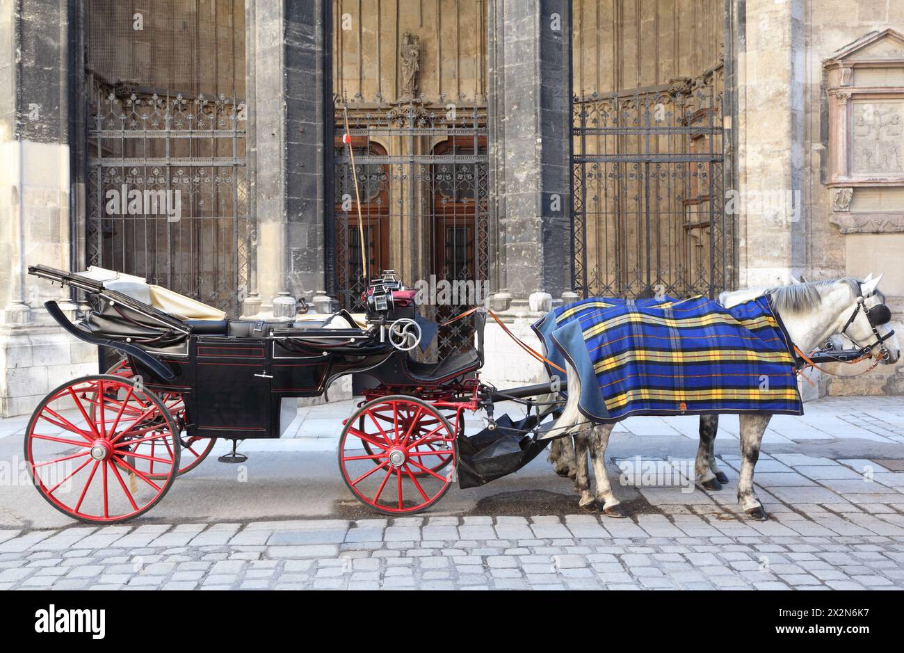 Two horse in cape with open cart on pavement street in Vienna, Austria ...
