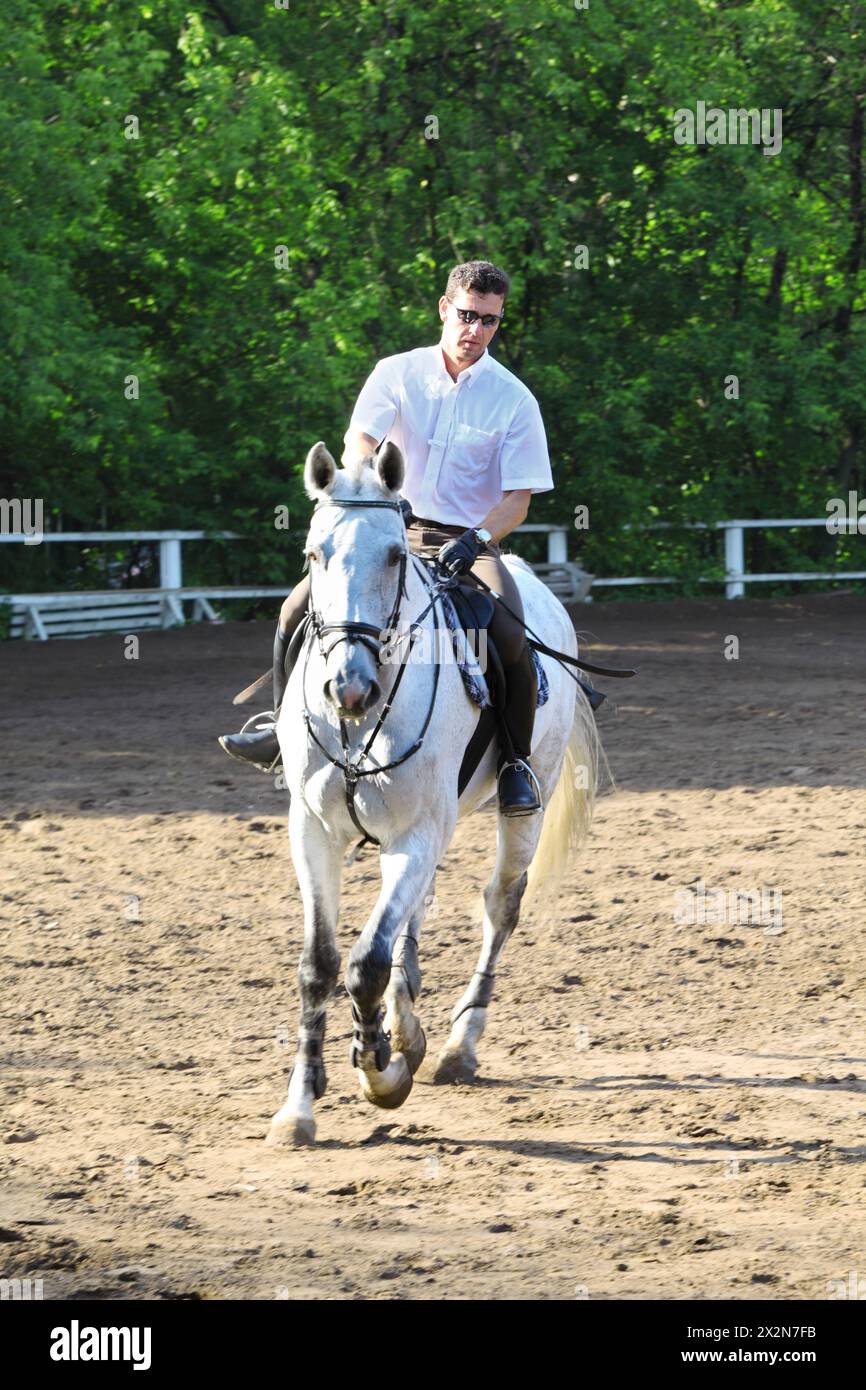 Jockey riding horse on hippodrome Stock Photo - Alamy