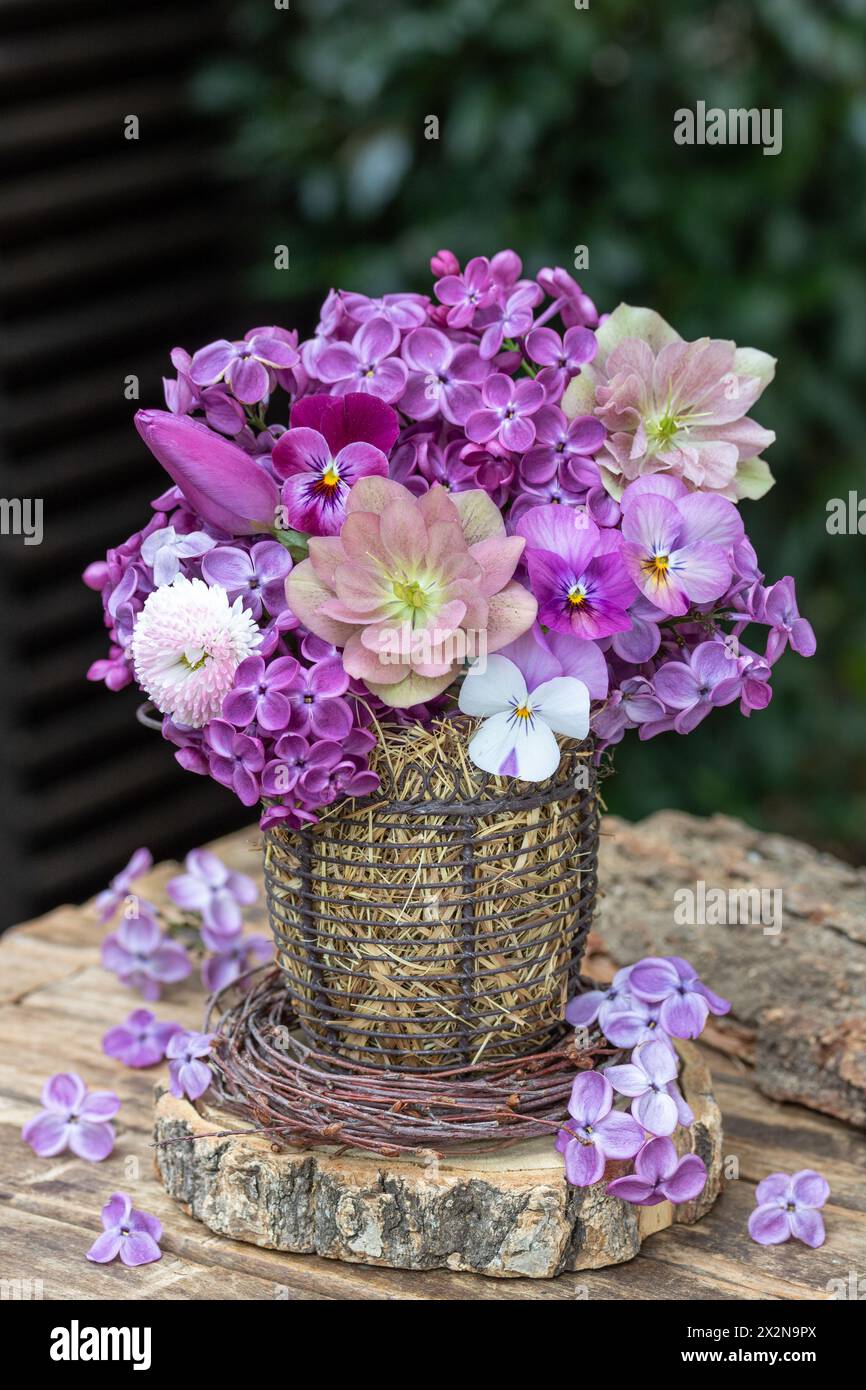 Lenten roses hi-res stock photography and images - Alamy